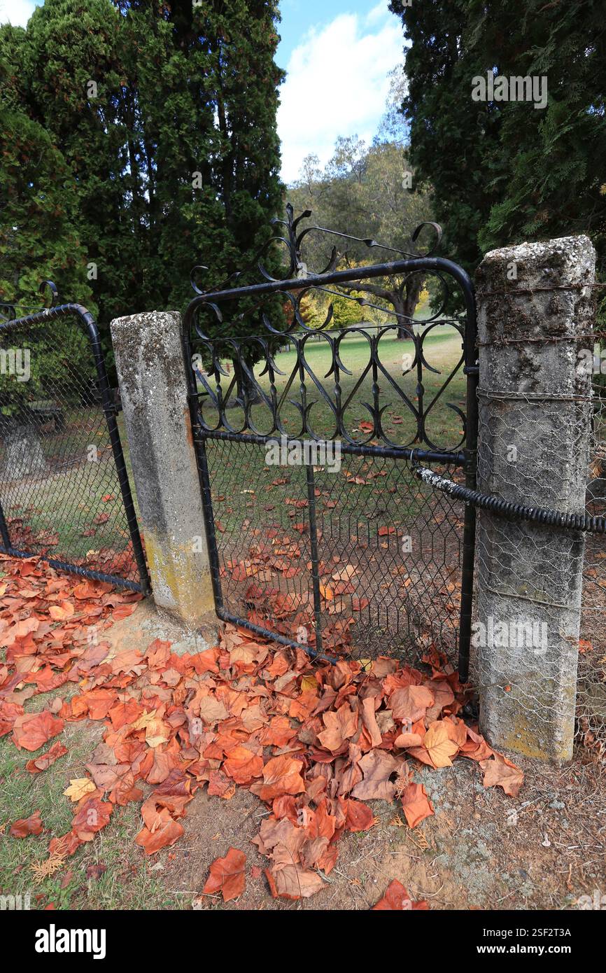 Metal gate with autumn/fall leaves on ground Stock Photo - Alamy