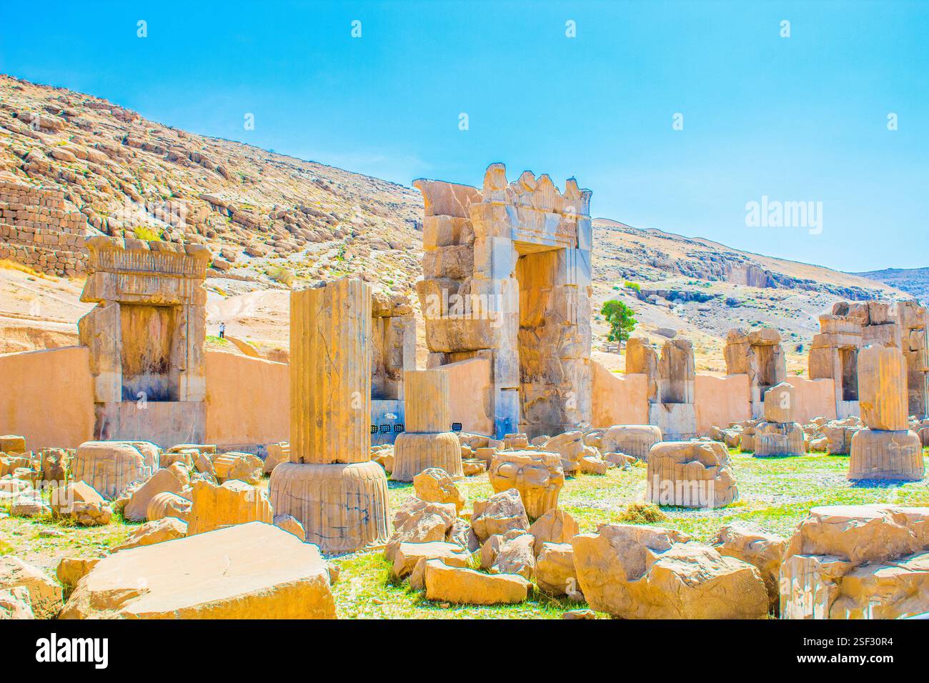 Persepolis, an ancient capital of the kings of the Achaemenian dynasty ...