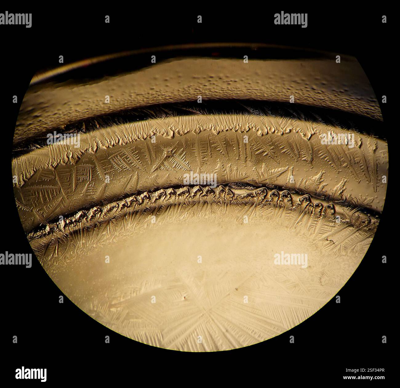 Amazing patterns of crystals precipitated from mineral spring water, as ...