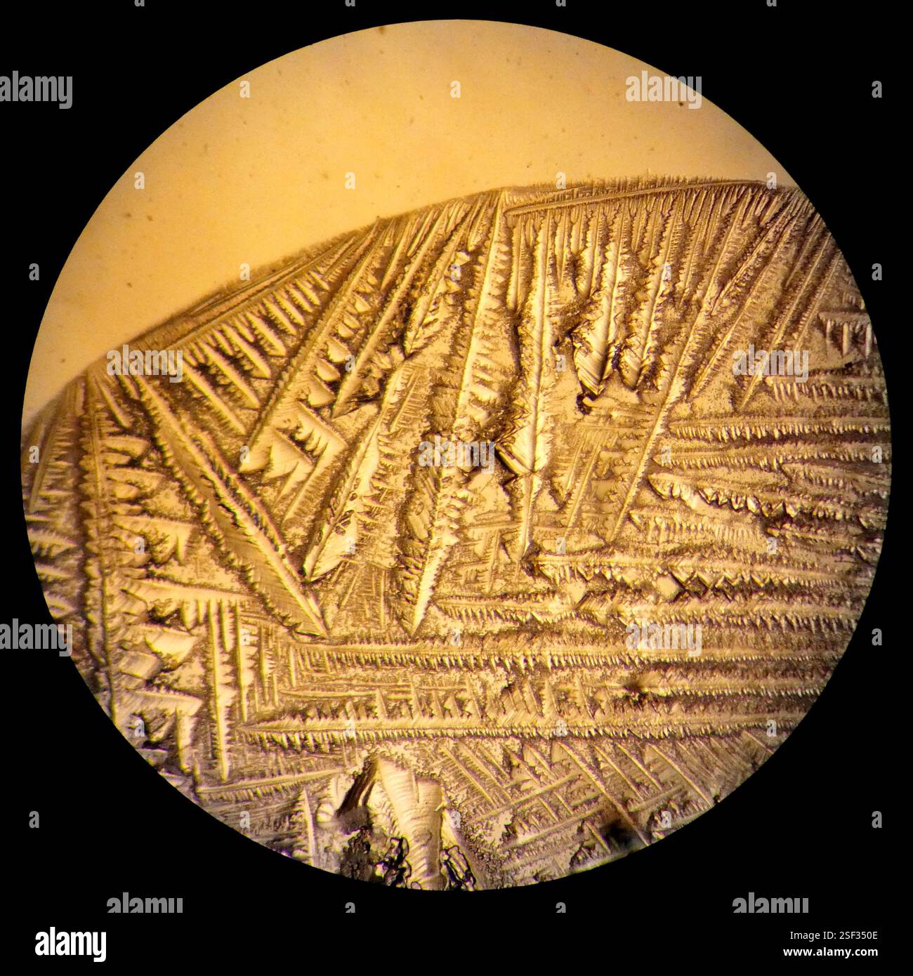 Amazing patterns of crystals precipitated from mineral spring water, as ...