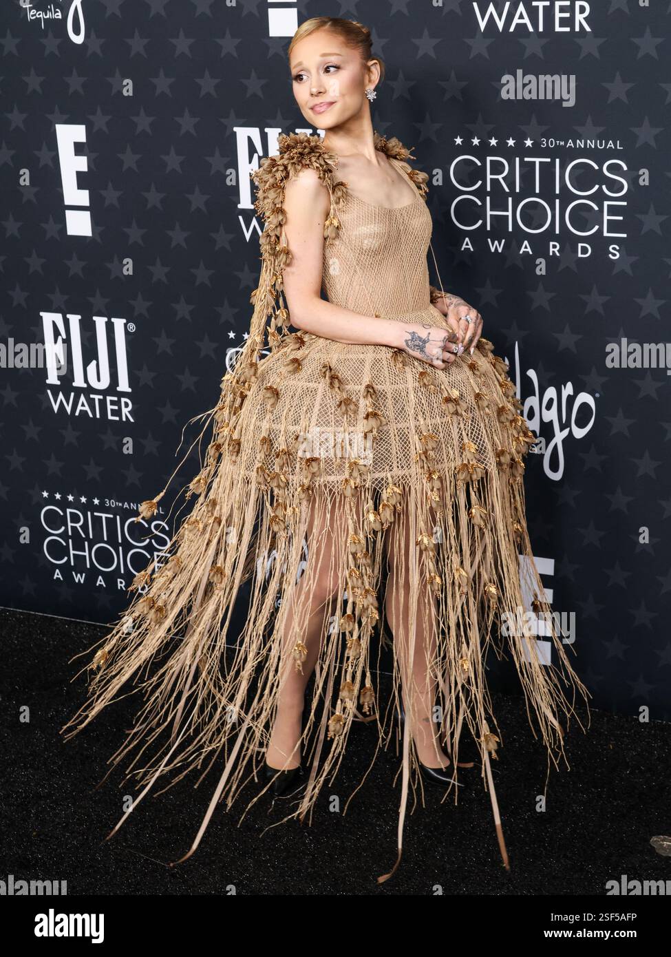 SANTA MONICA, LOS ANGELES, CALIFORNIA, USA - FEBRUARY 07: American ...