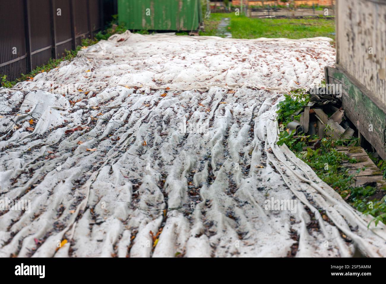 ground cover for lawn between fene and house, outdoor shot Stock Photo ...