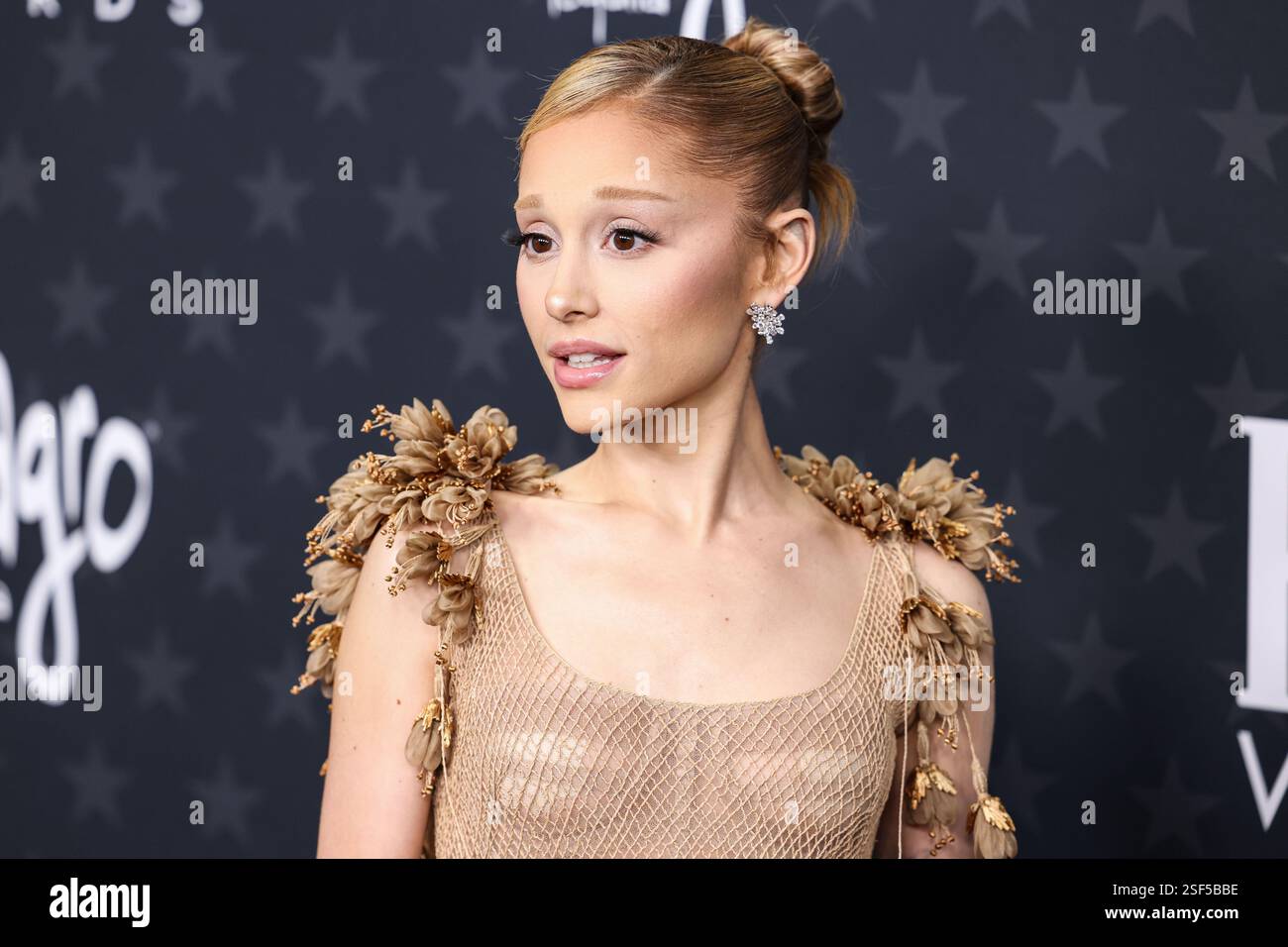 SANTA MONICA, LOS ANGELES, CALIFORNIA, USA - FEBRUARY 07: American ...