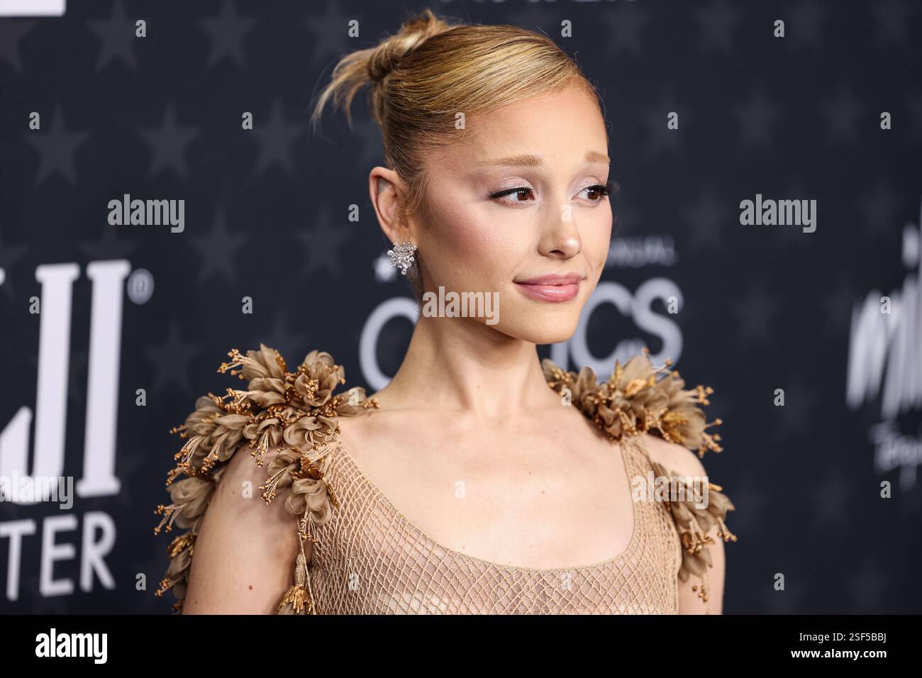 SANTA MONICA, LOS ANGELES, CALIFORNIA, USA - FEBRUARY 07: American ...