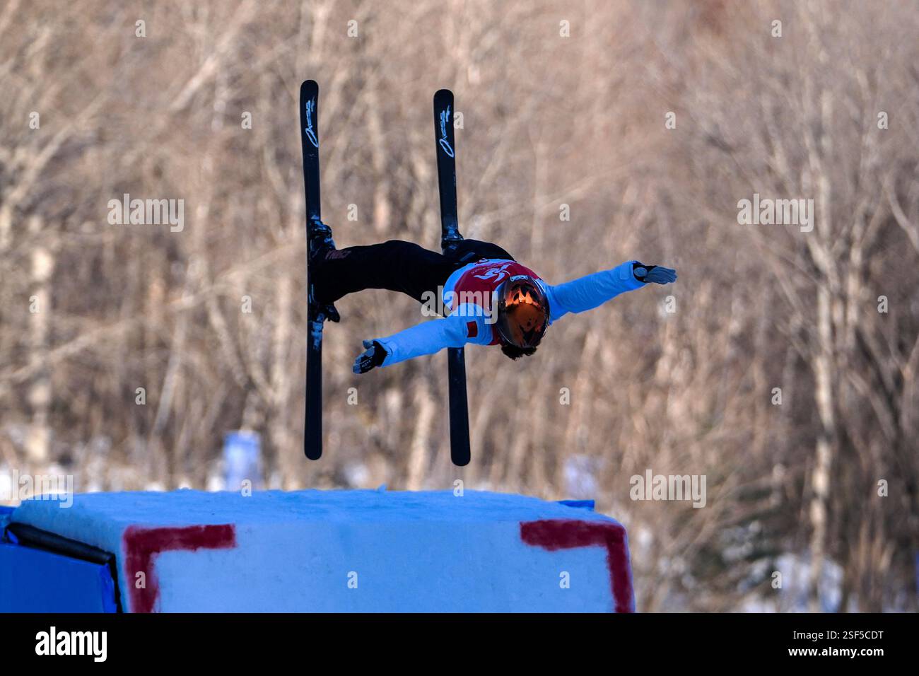 Xu Mengtao of China competes in the Women's Freeski Aerials at the 9th ...