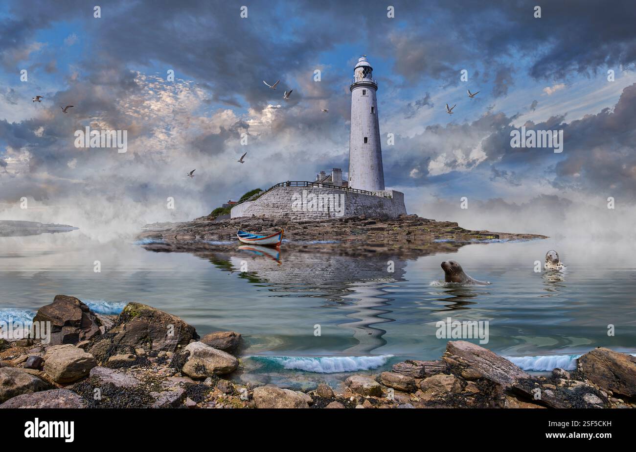 Seals in the sea around St Mary's Lighthouse, originally built in in ...