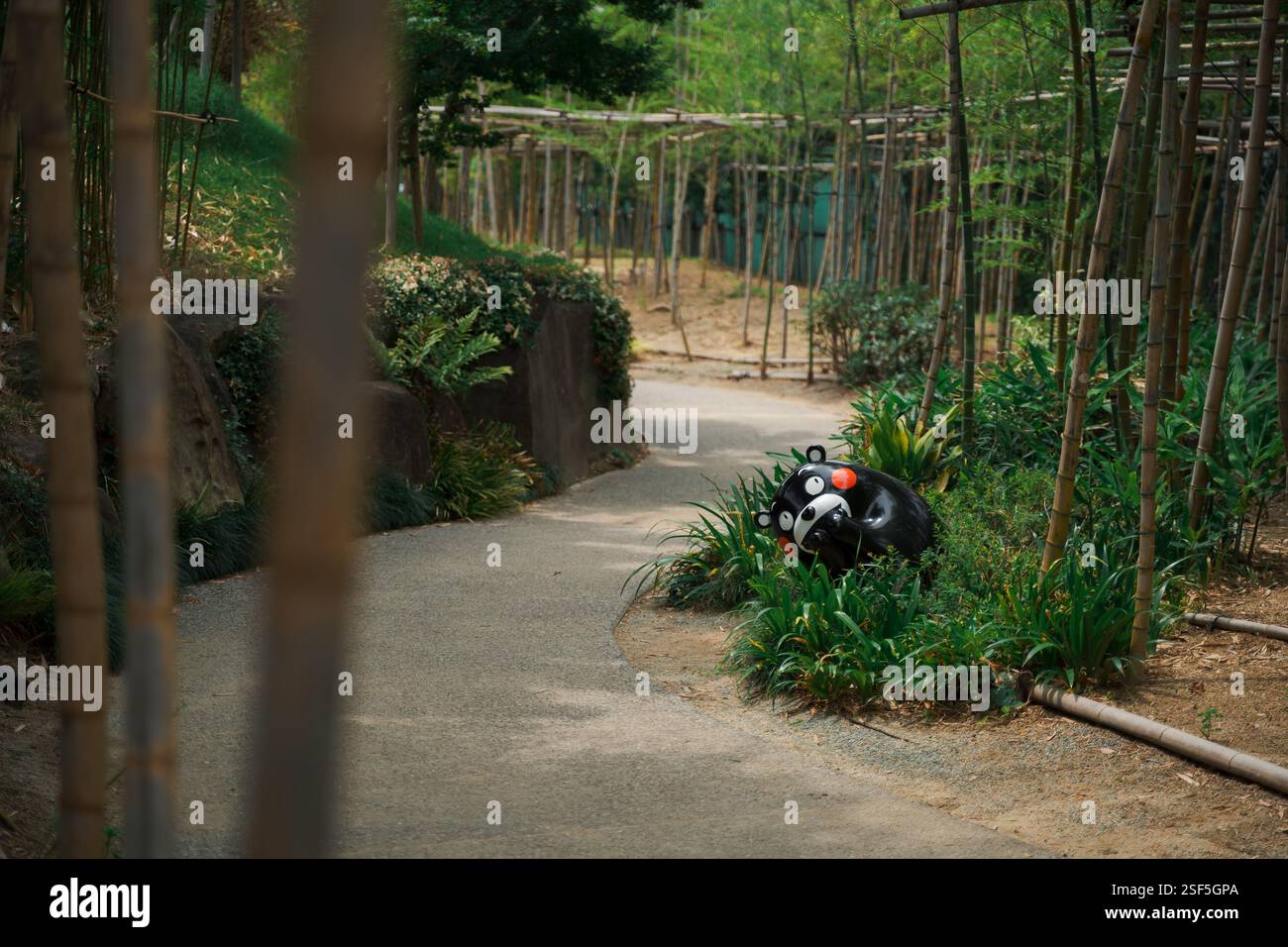 Kumamon, a Mascot from Yatsushiro, Japan. With funny pose in the garden ...