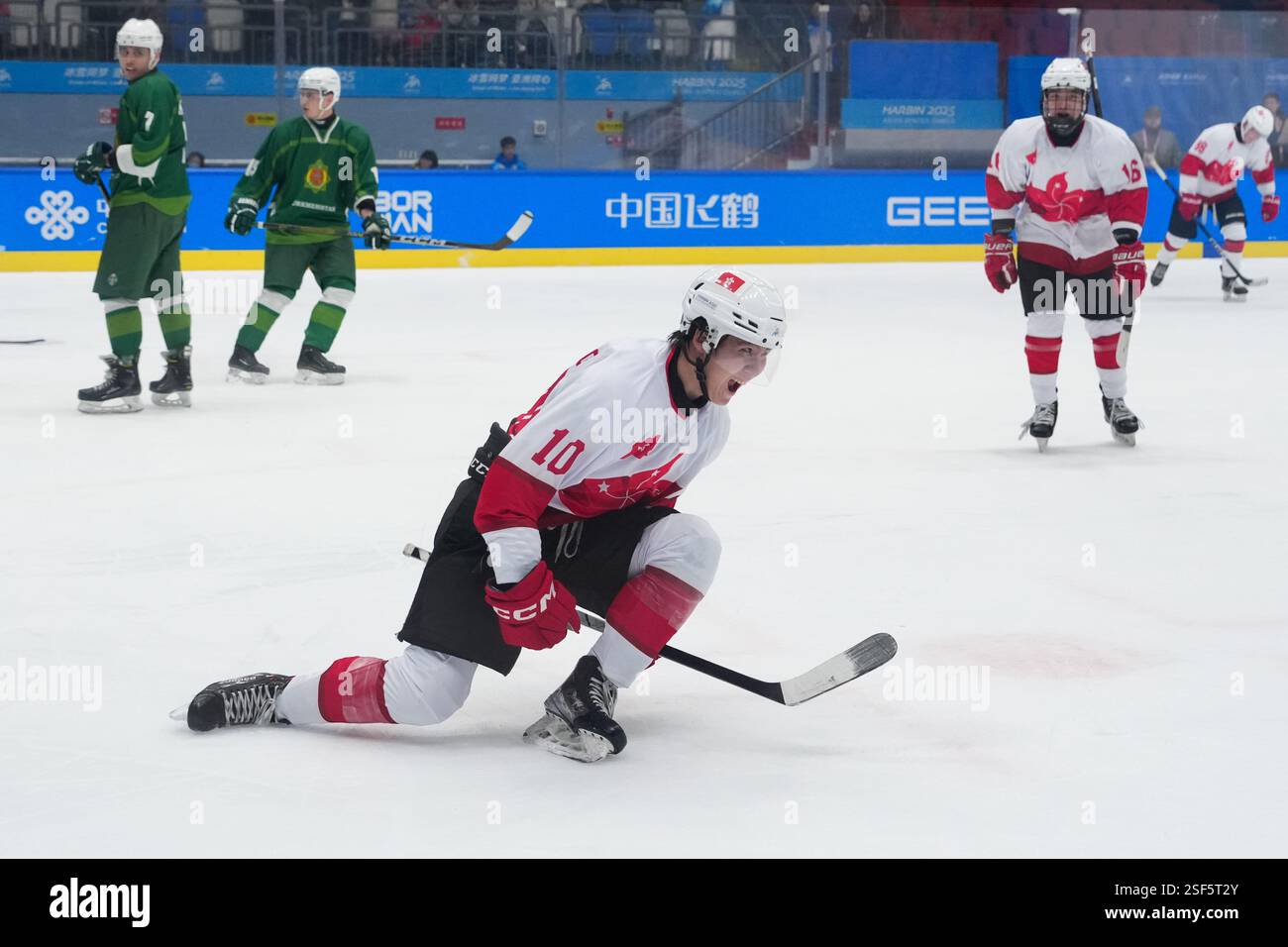 Harbin, China's Heilongjiang Province. 9th Feb, 2025. Tang Bryan of ...