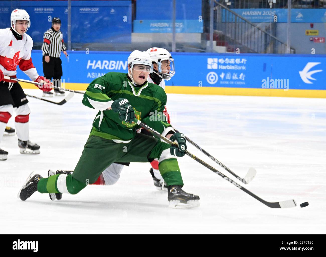 Harbin, China's Heilongjiang Province. 9th Feb, 2025. Dovrangeldi ...