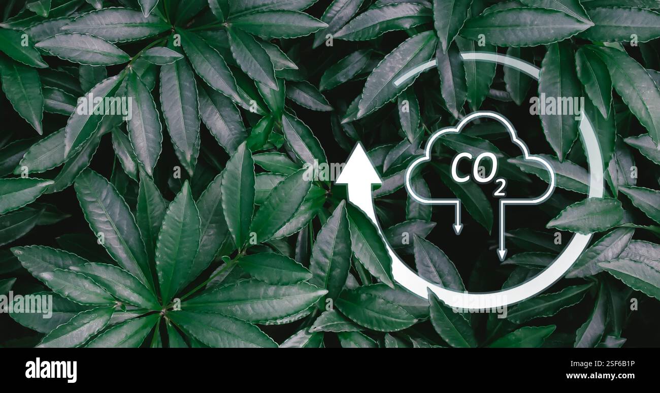 The carbon neutral concept reduces CO2 emissions, reducing global ...