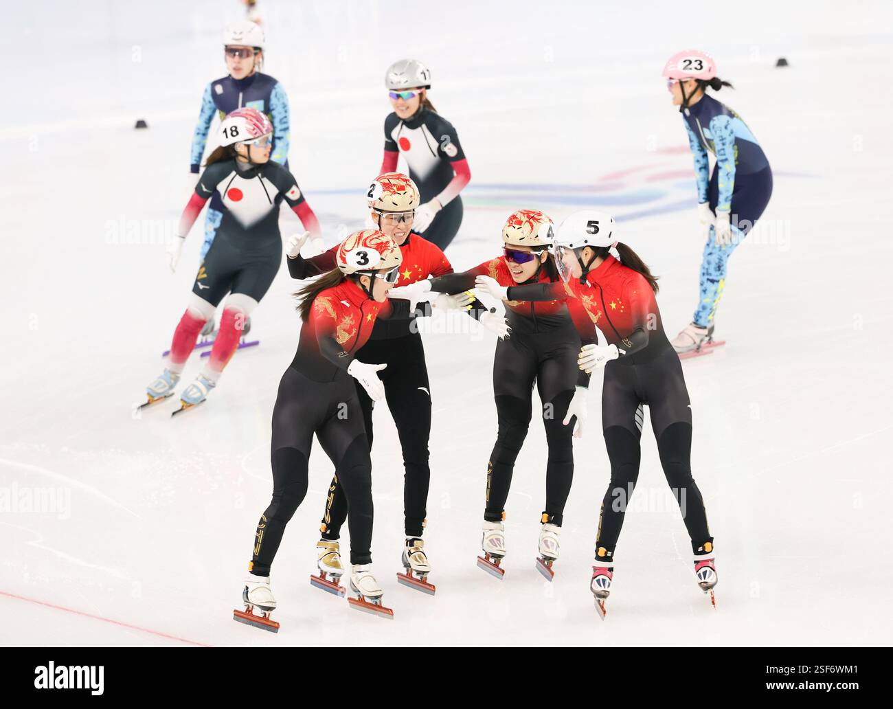 Harbin, China's Heilongjiang Province. 9th Feb, 2025. Gong Li, Fan ...