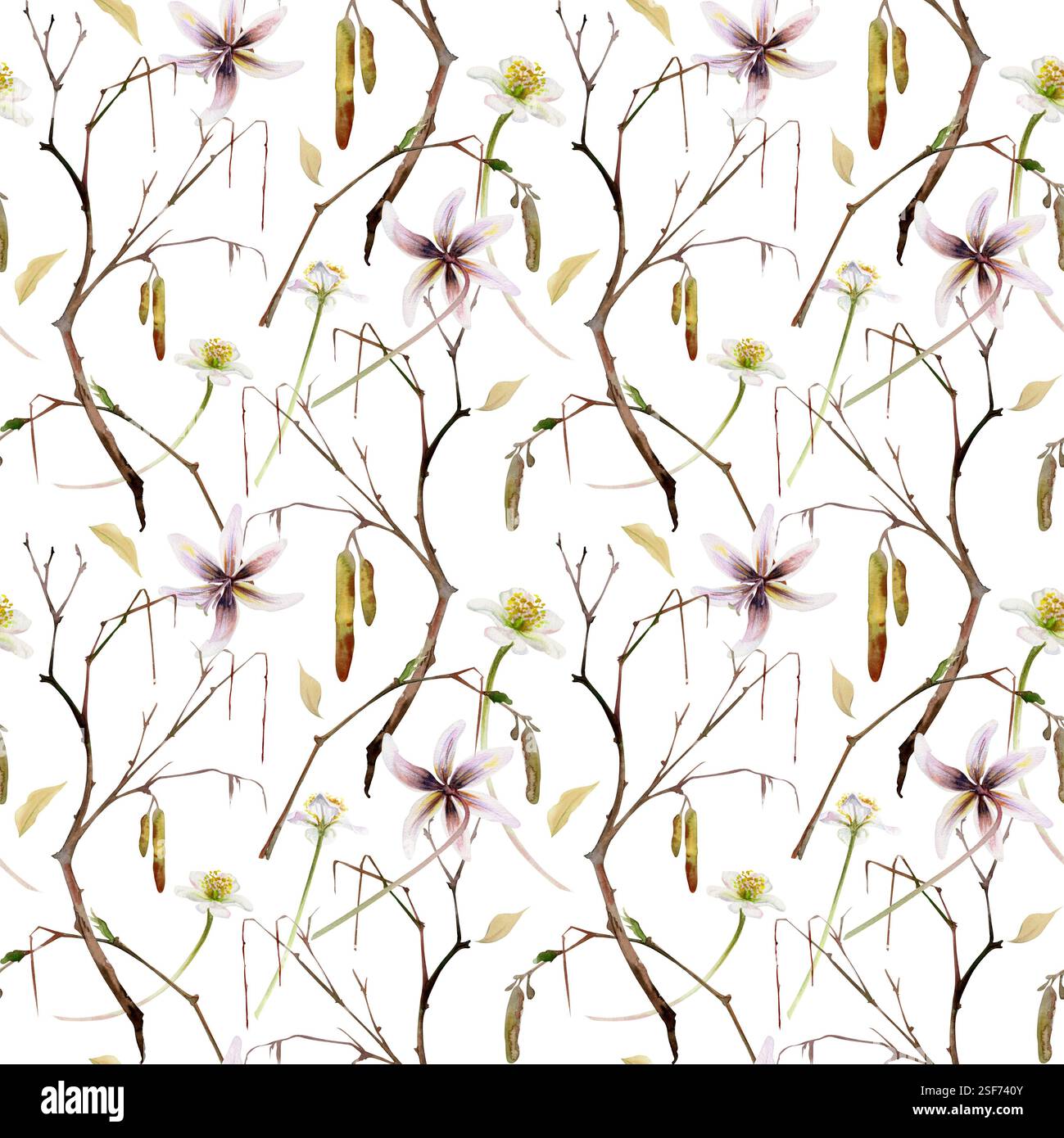 Branch with catkins, spring flowers fawn trout lily, white forest ...