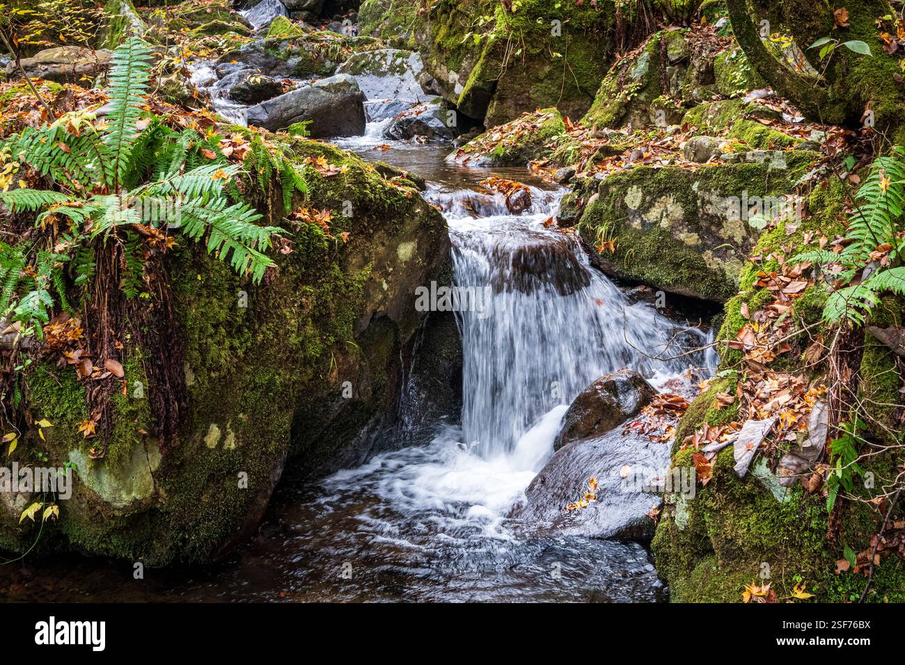 Forty eight waterfall hi-res stock photography and images - Alamy