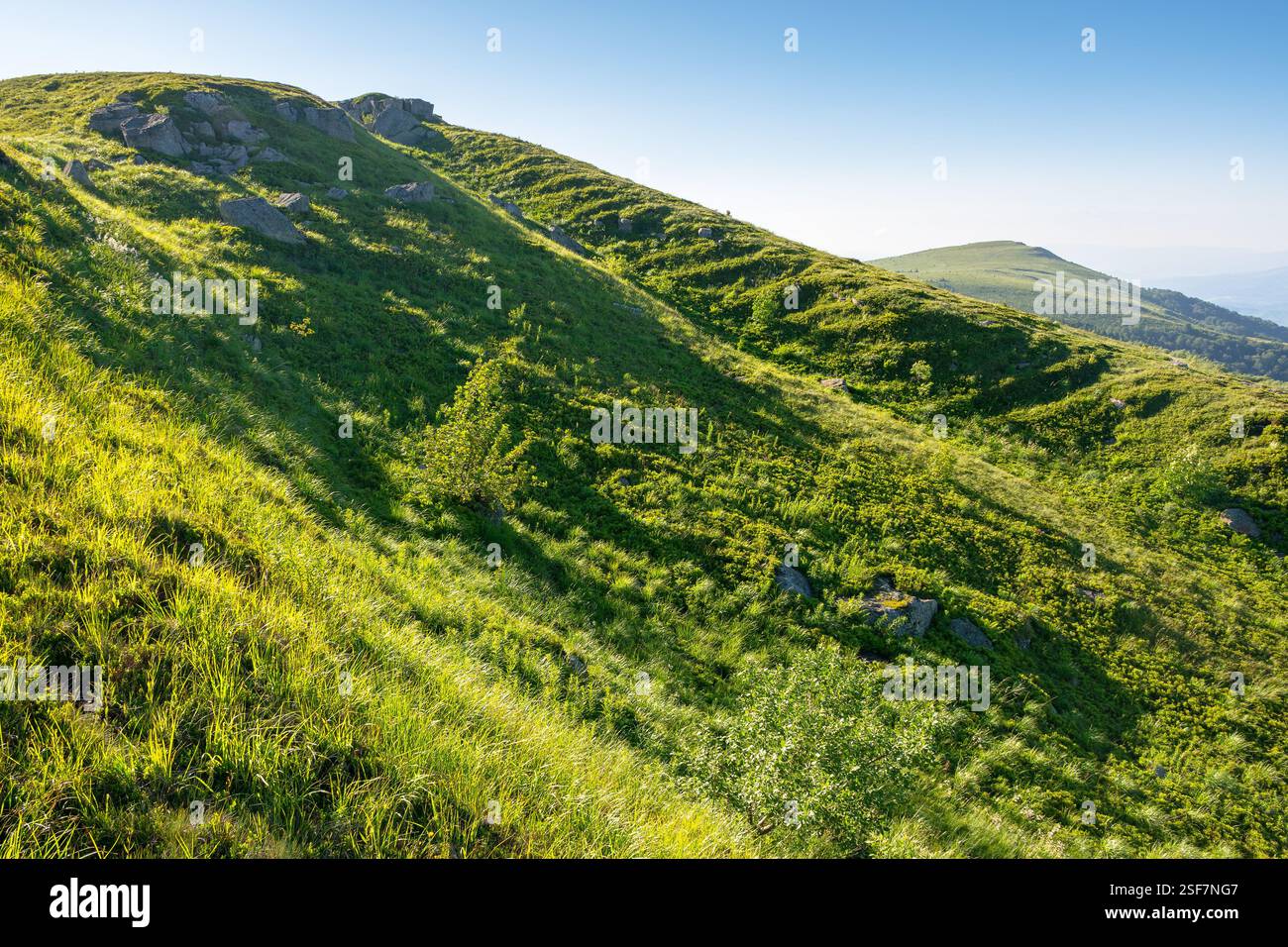 nature scenery with rolling alpine highlands of ukraine in summer ...