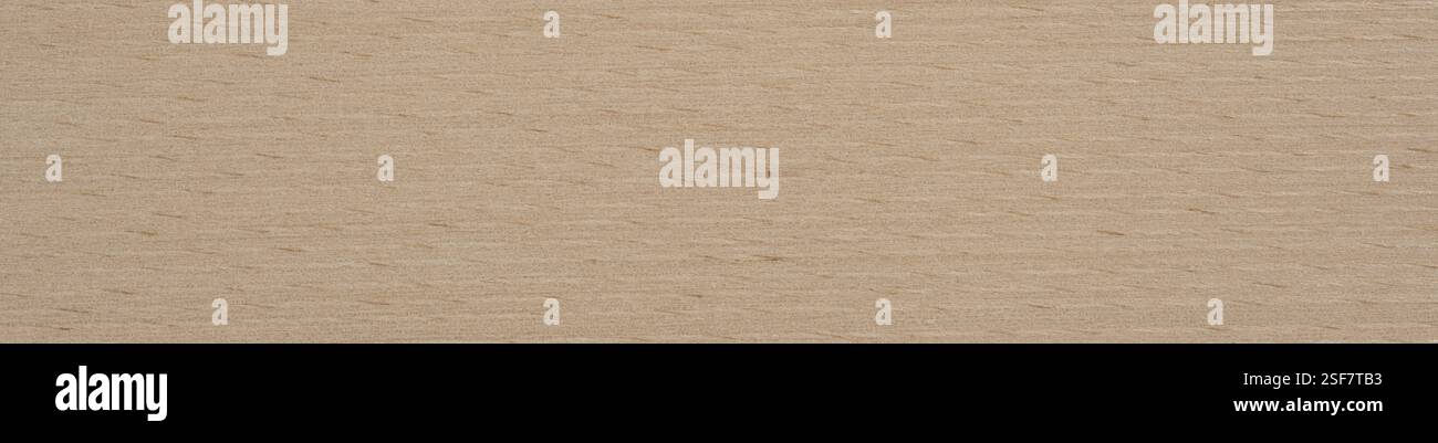 Warm beige and soft cream hues blend harmoniously in this birch veneer ...