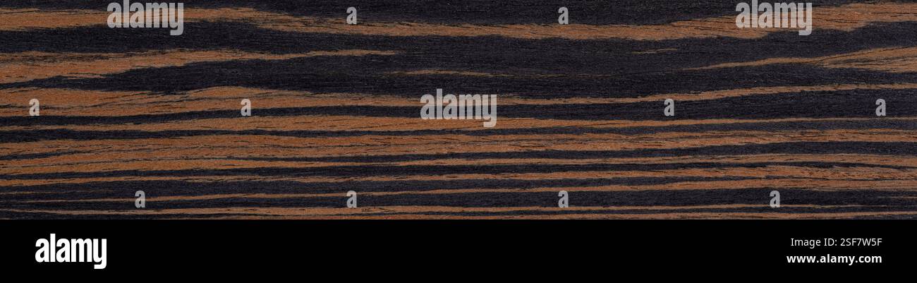 Vivid tiger-striped patterns of burnt sienna weave through the midnight ...