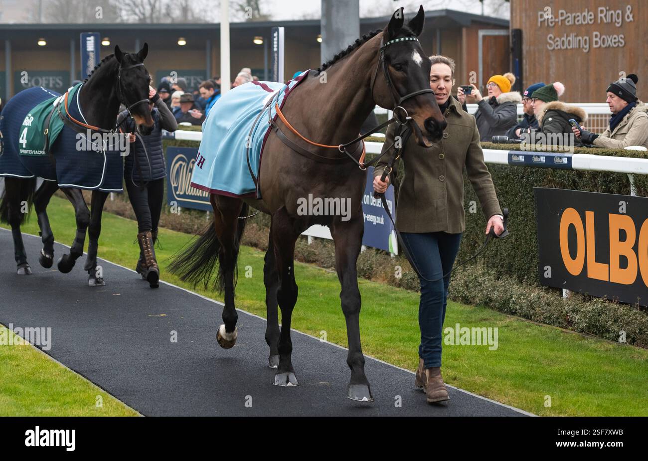Altior sprinter sacre hi-res stock photography and images - Alamy