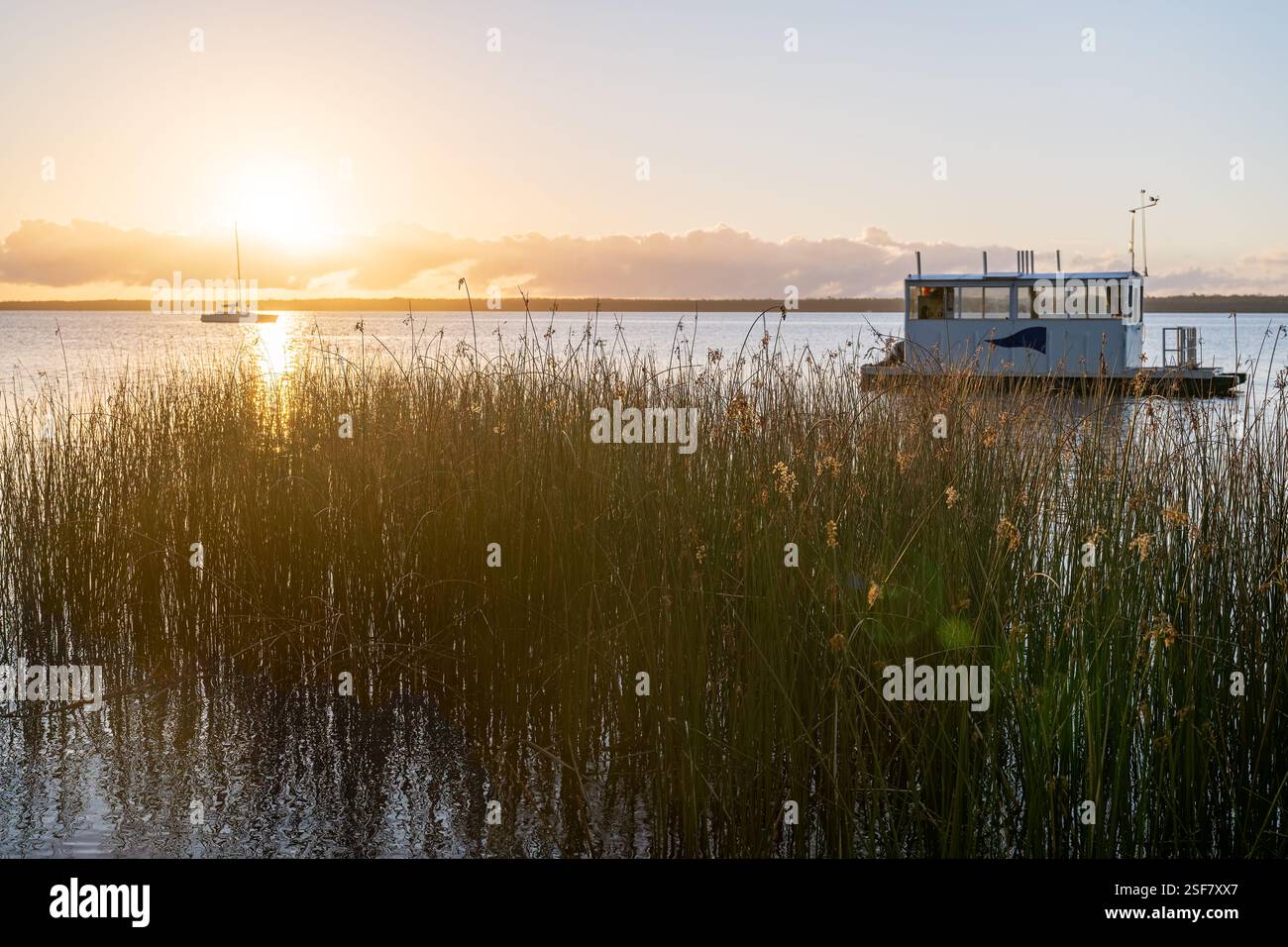 Lake Cootharaba dawn sunrise, peaceful landscape, boats houseboats ...