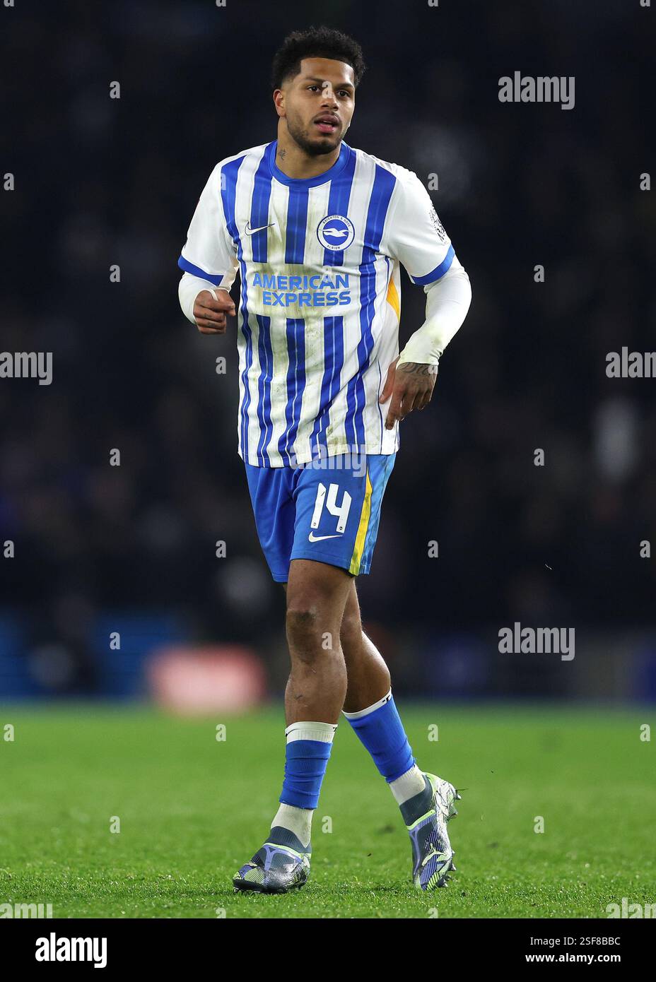 Brighton and Hove, UK. 8th Feb, 2025. Georginio Rutter of Brighton and ...