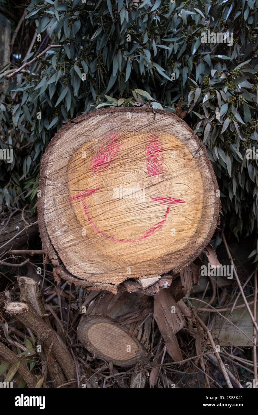 Cut down tree with a smiley face with painted on it Stock Photo - Alamy