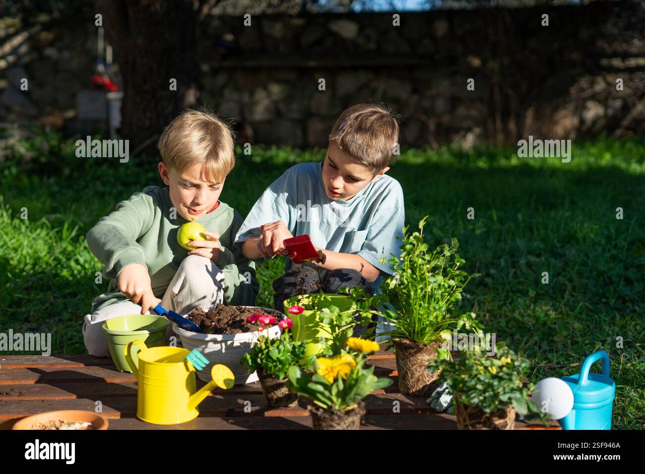 Two brothers planting plants in the garden with copy space Stock Photo ...