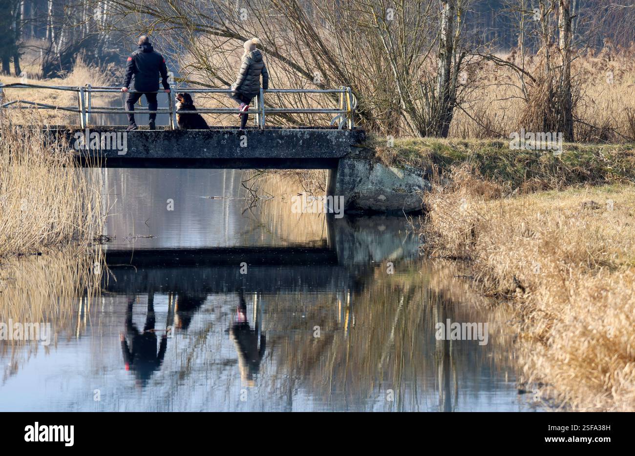 Bad Buchau, Germany. 09th Feb, 2025. Walkers with a dog sit on a bridge ...