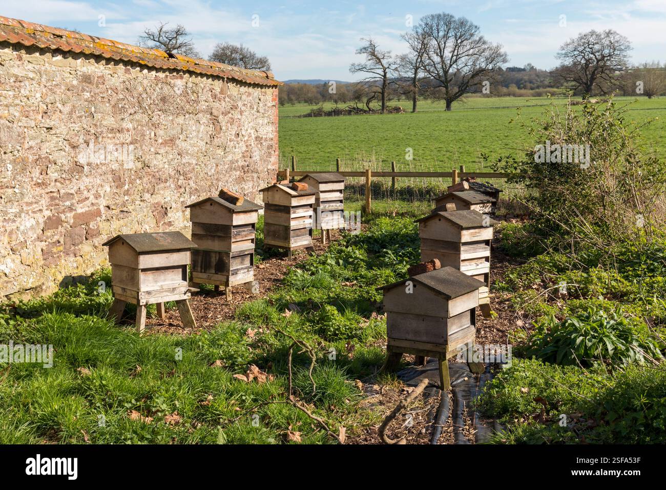 British countryside hi-res stock photography and images - Alamy