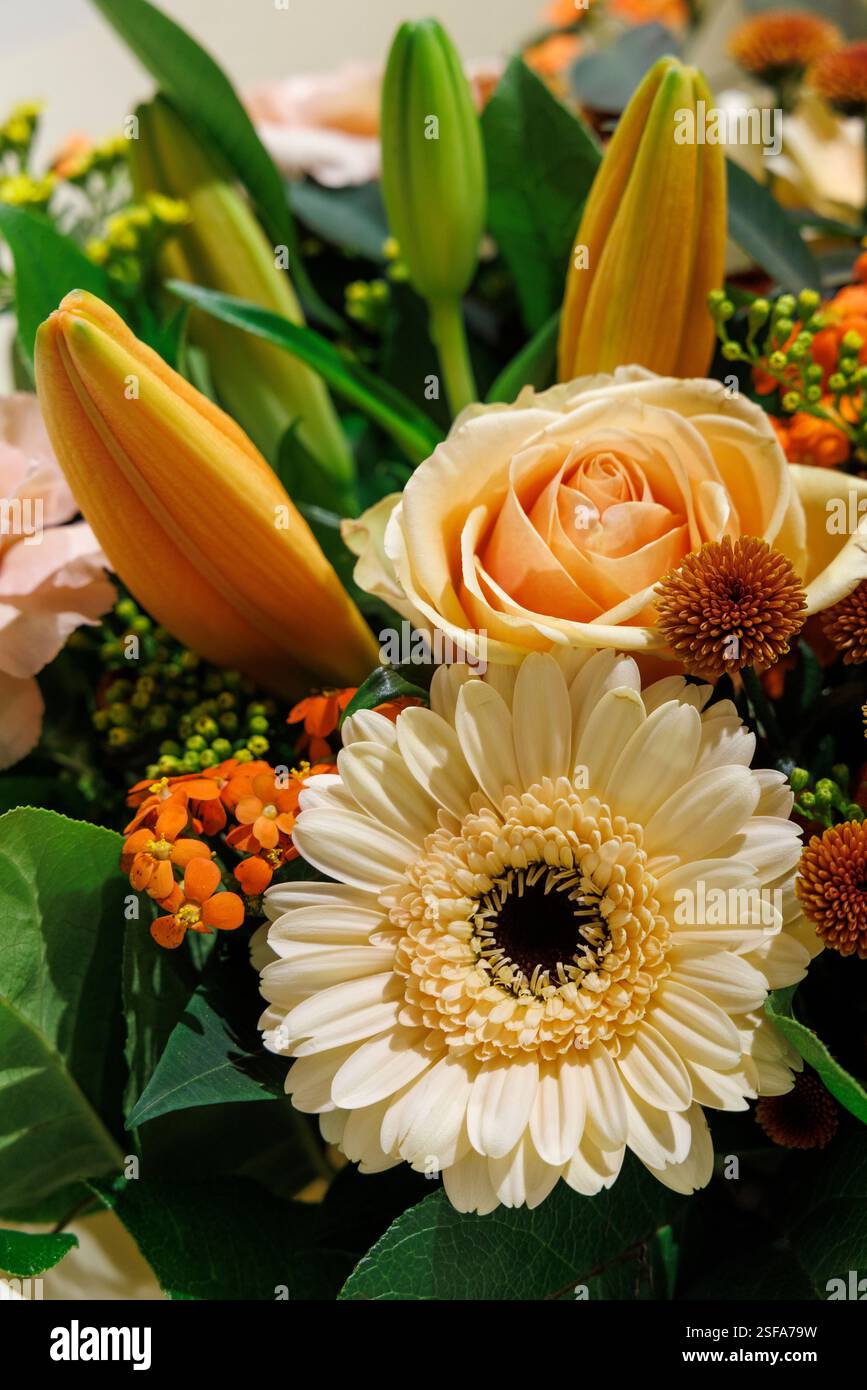 Nugget flowers hi-res stock photography and images - Alamy