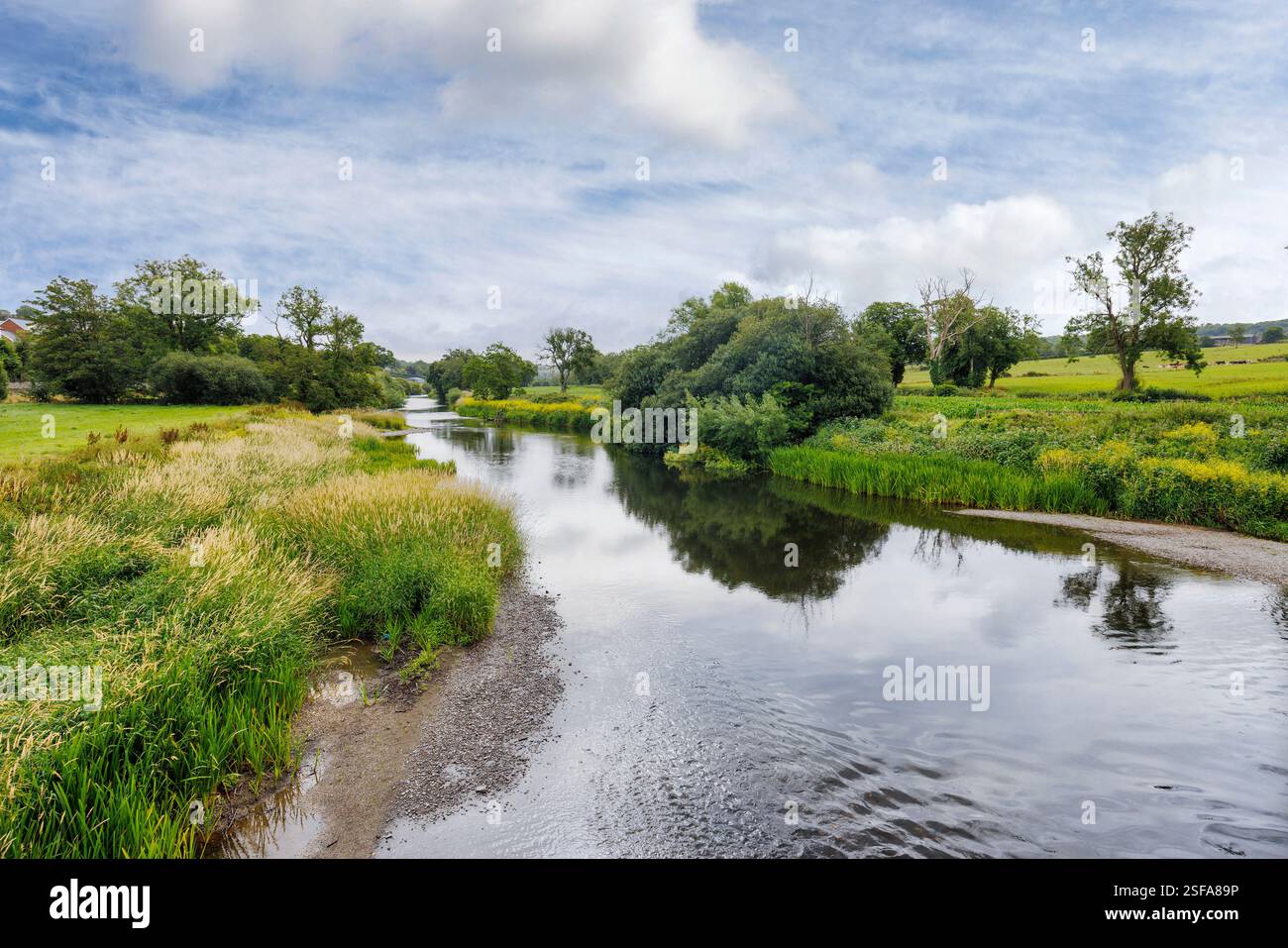 River Tywi at Dinefwr, Wales, UK Stock Photo - Alamy