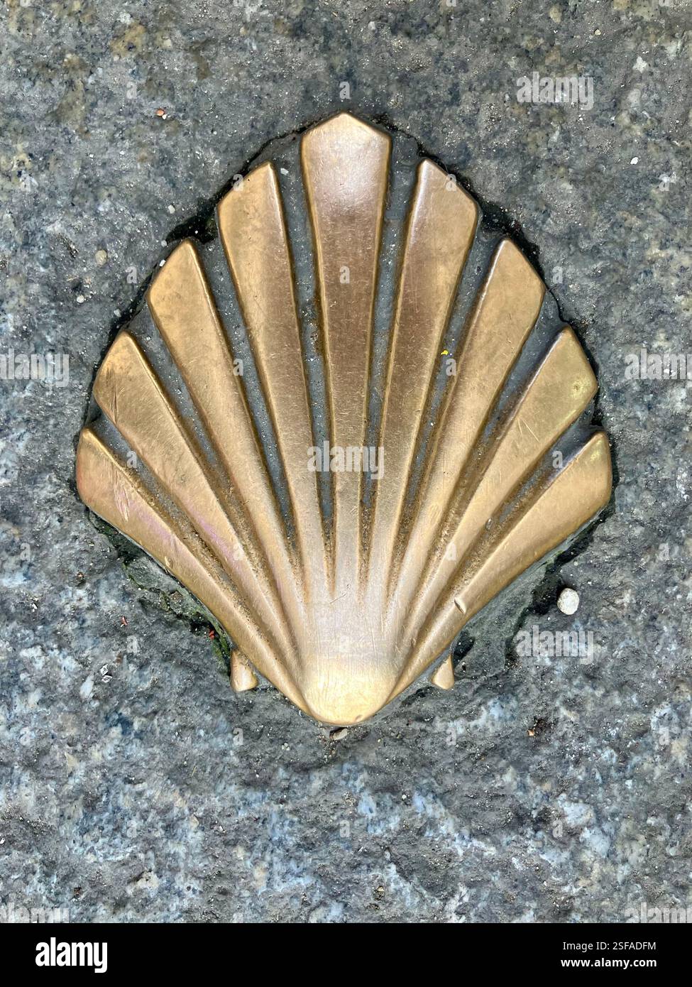 Camino de Santiago Gold Scallop Shell Stock Photo - Alamy
