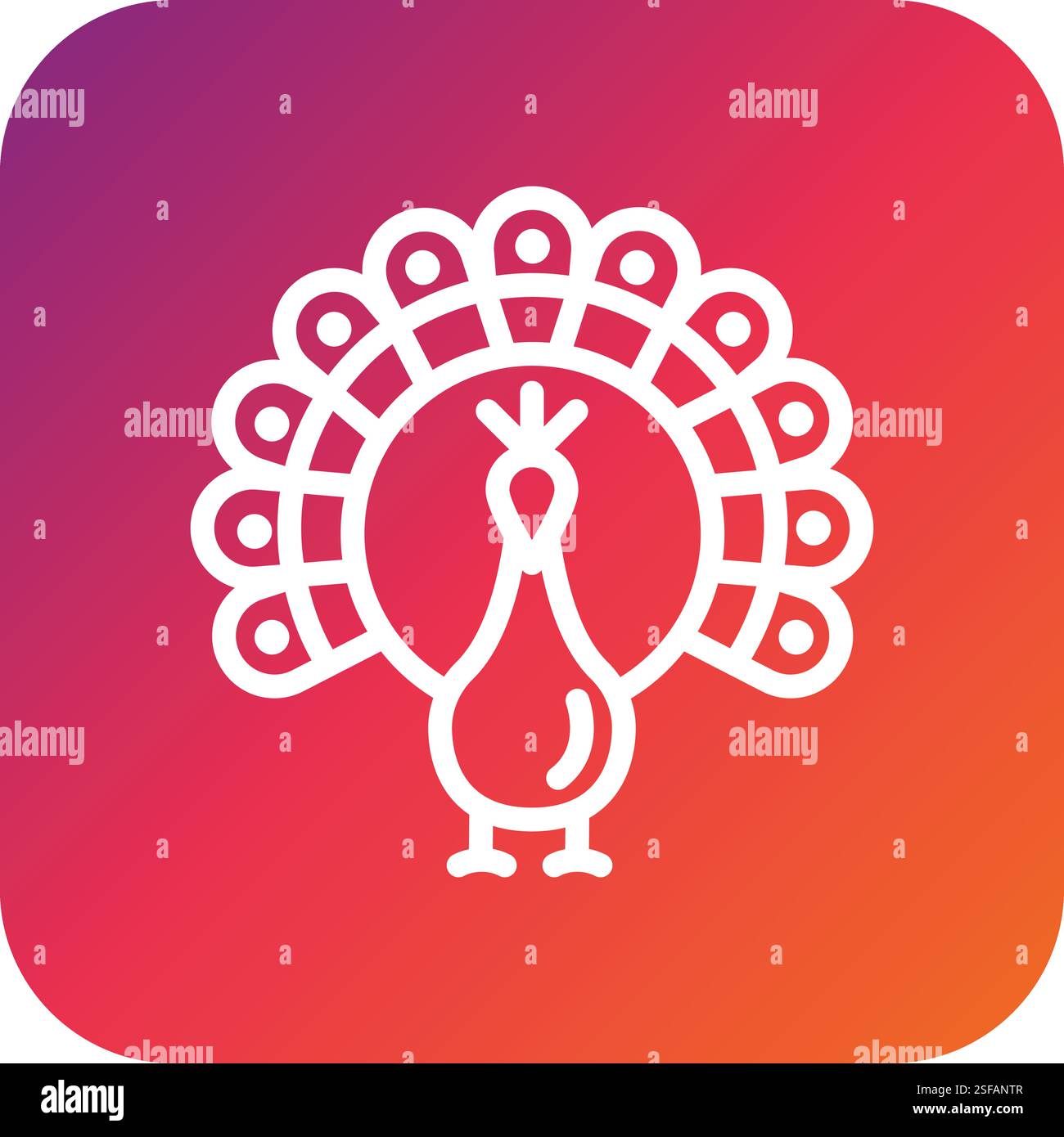 Peacock Vector Icon Design Illustration Stock Vector Image & Art - Alamy