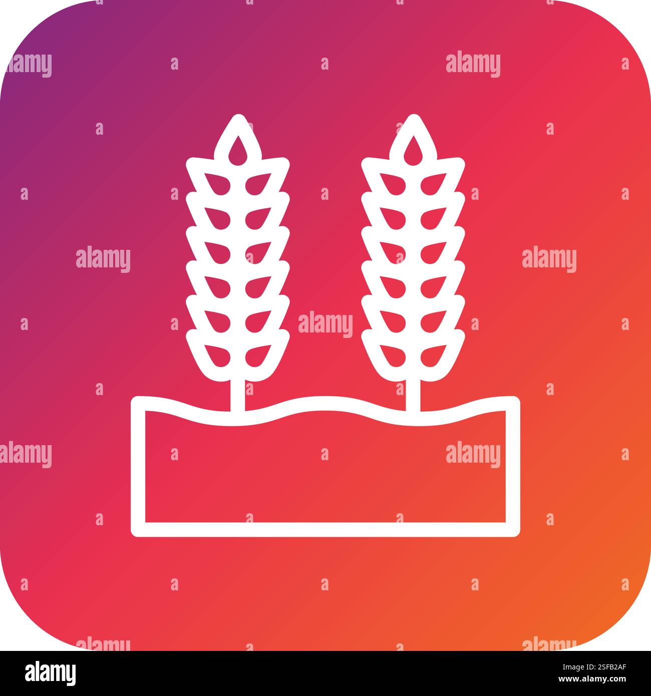Wheat grain Vector Icon Design Illustration Stock Vector Image & Art ...