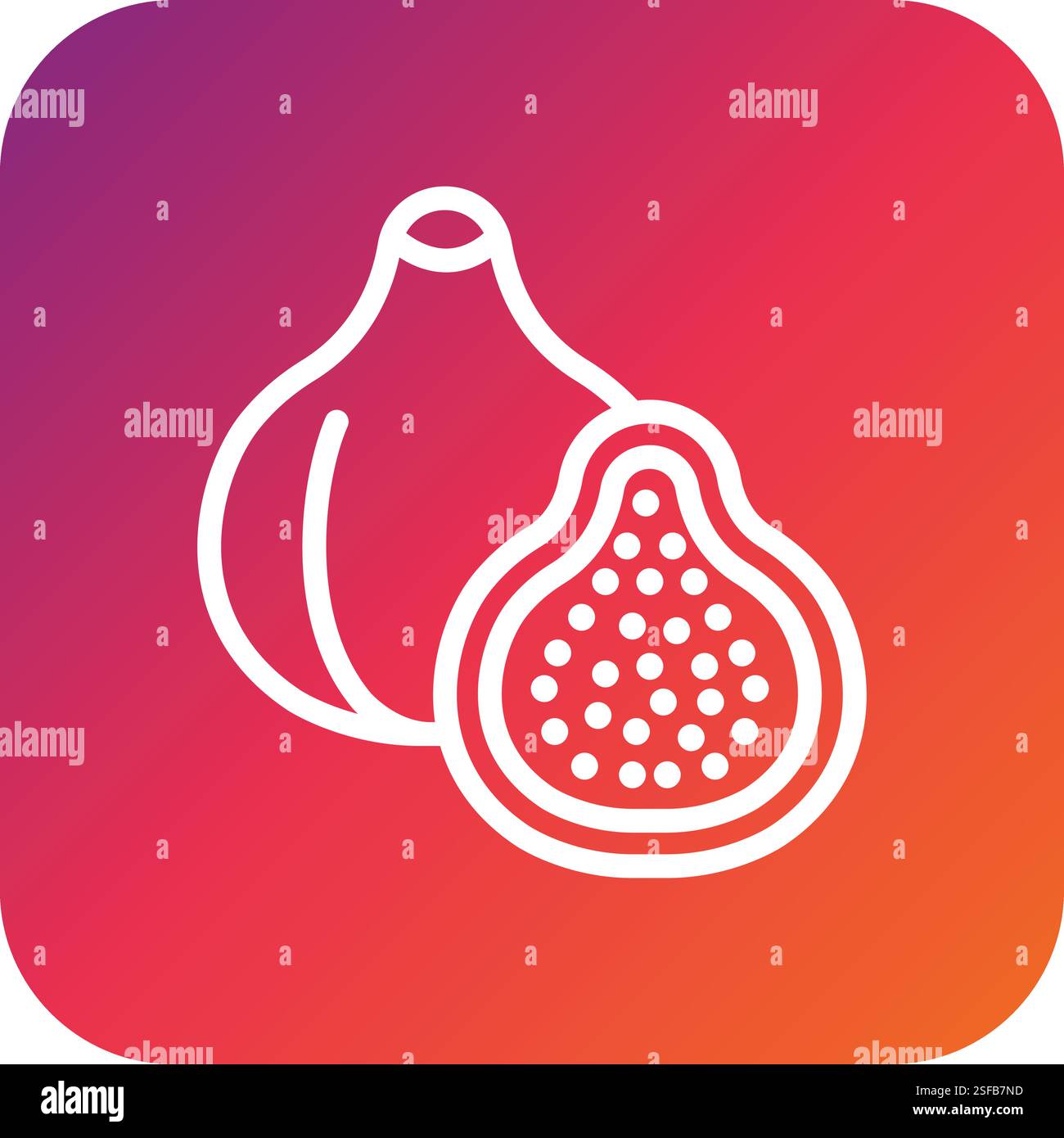 Fig Vector Icon Design Illustration Stock Vector Image & Art - Alamy