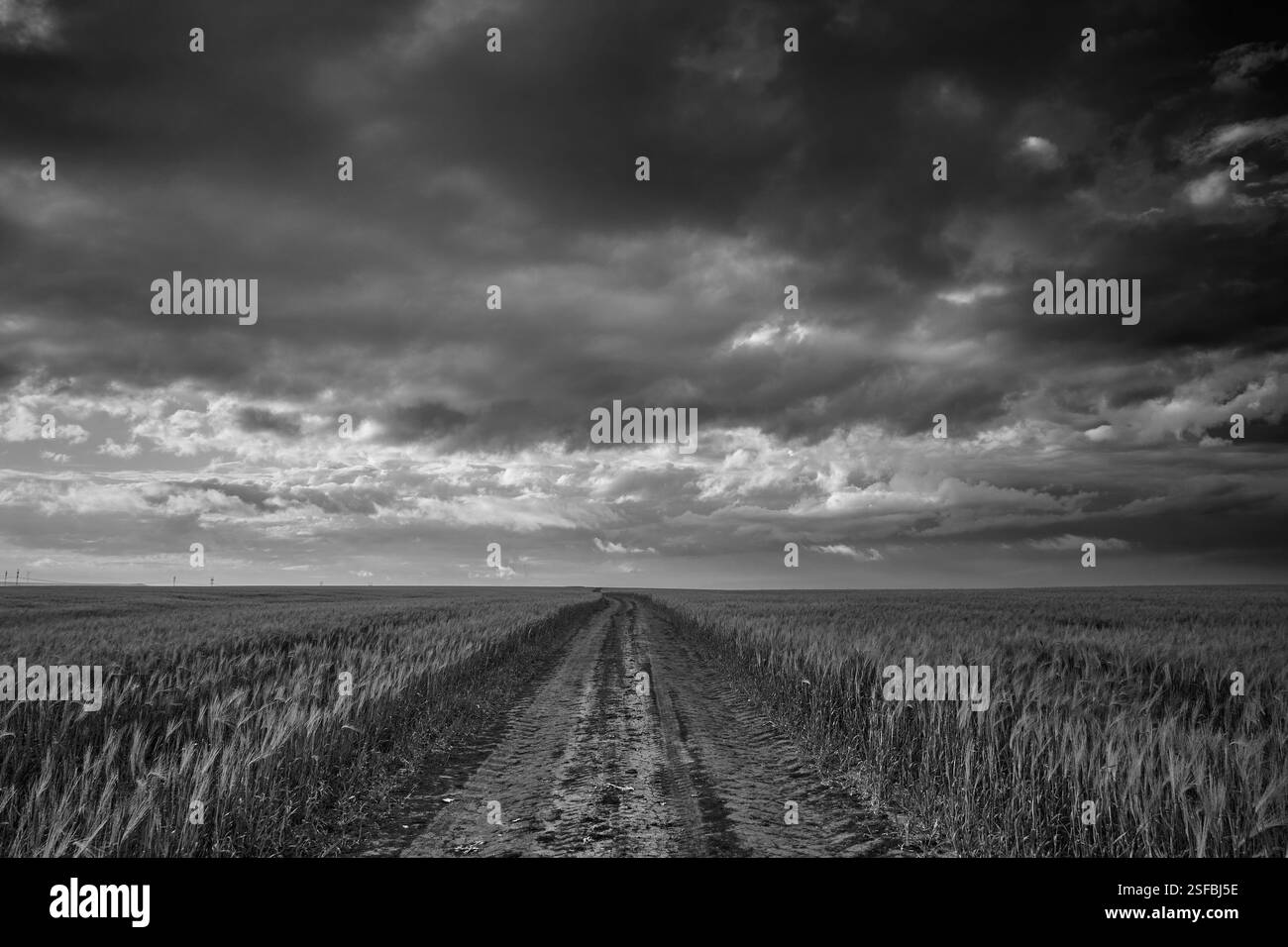 Road green Black and White Stock Photos & Images - Alamy