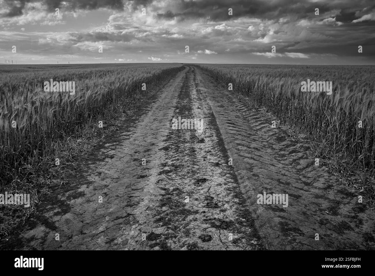 Road green Black and White Stock Photos & Images - Alamy