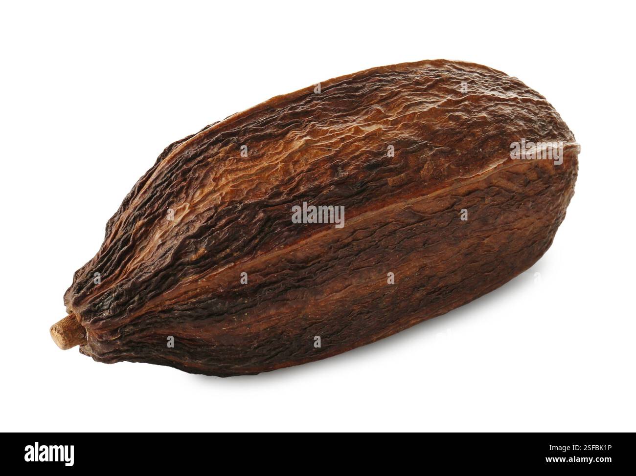 Whole tropical cocoa pod isolated on white Stock Photo - Alamy