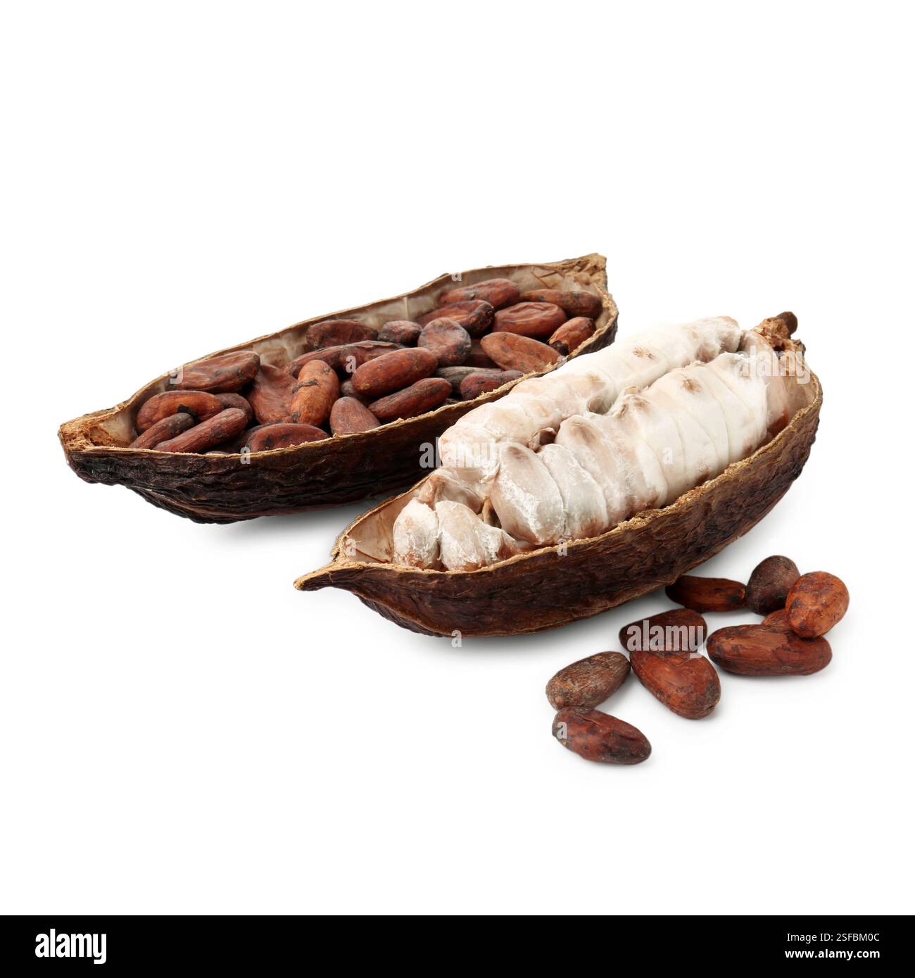 Ripe cocoa pods on Cut Out Stock Images & Pictures - Alamy