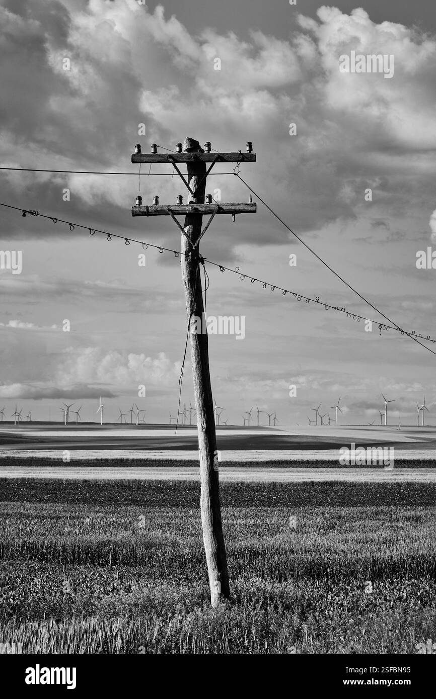 Old wooden utility pole Black and White Stock Photos & Images - Alamy