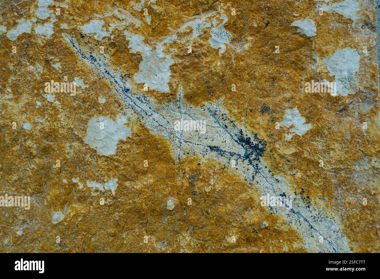 Rough limestone surface with structures reminiscent of a map Stock ...