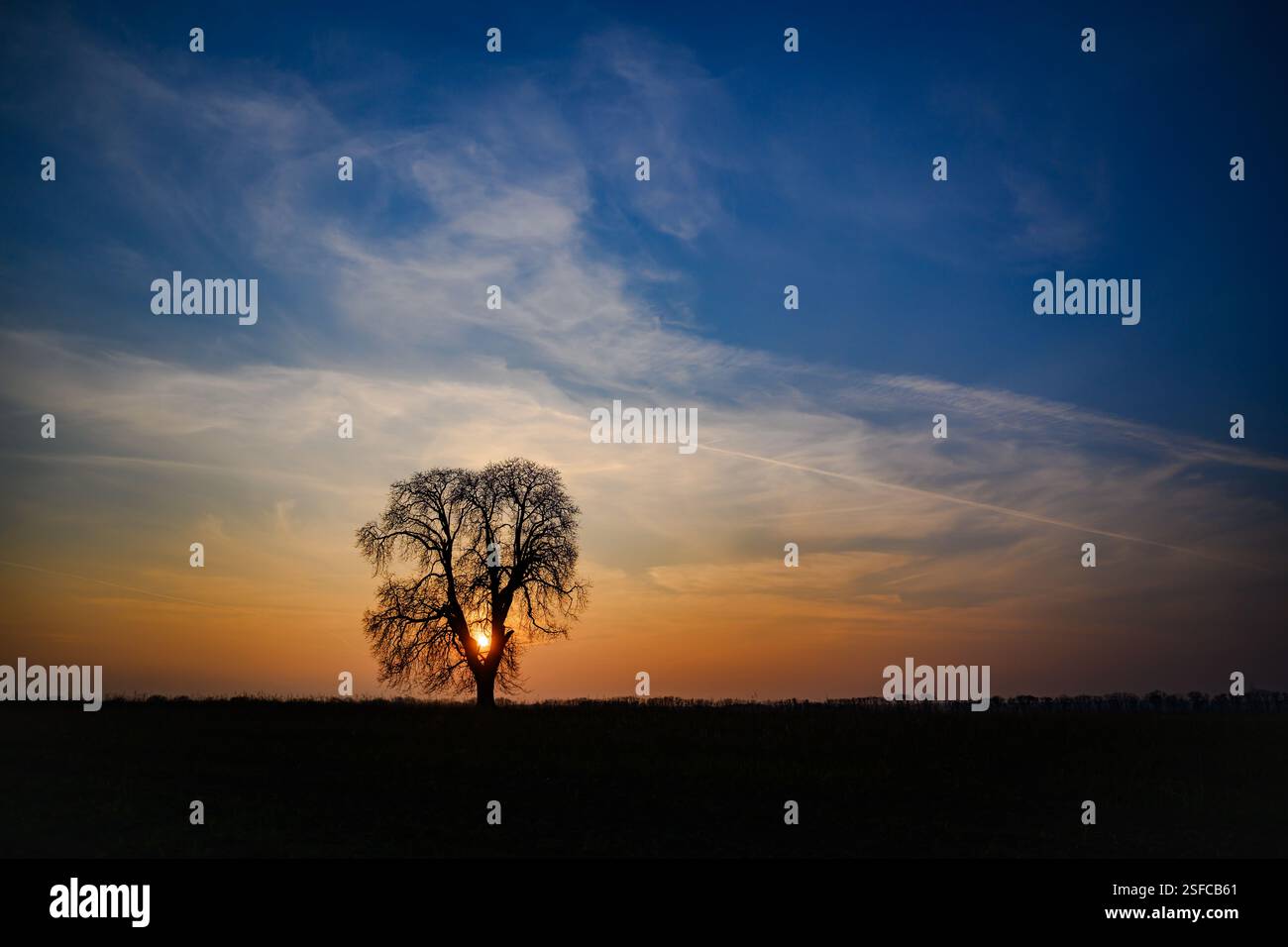 Lietzen, Germany. 08th Feb, 2025. Sunset over the landscape in eastern ...
