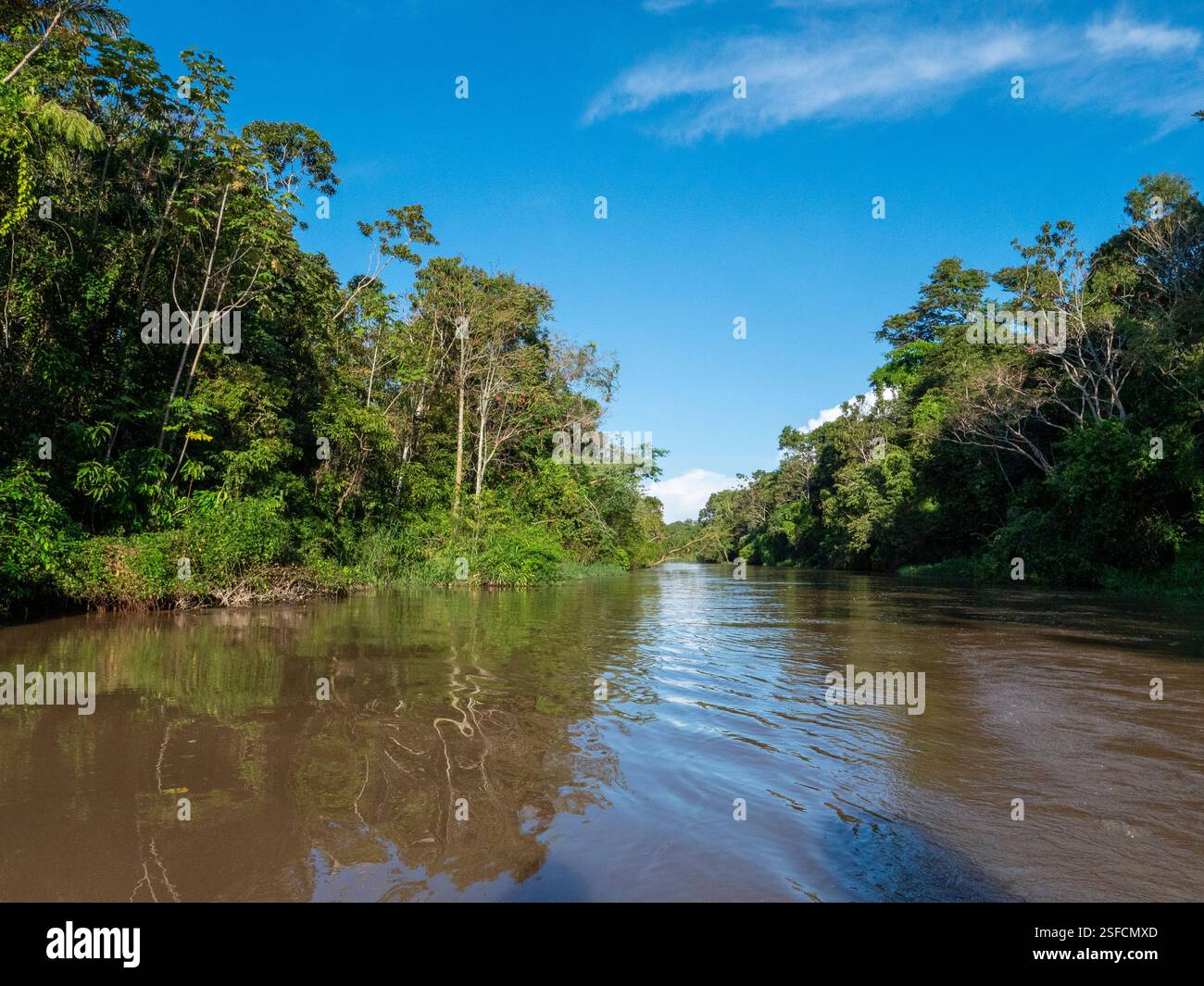 River landscape on a branch of the Amazon near the small town of Jutaí ...