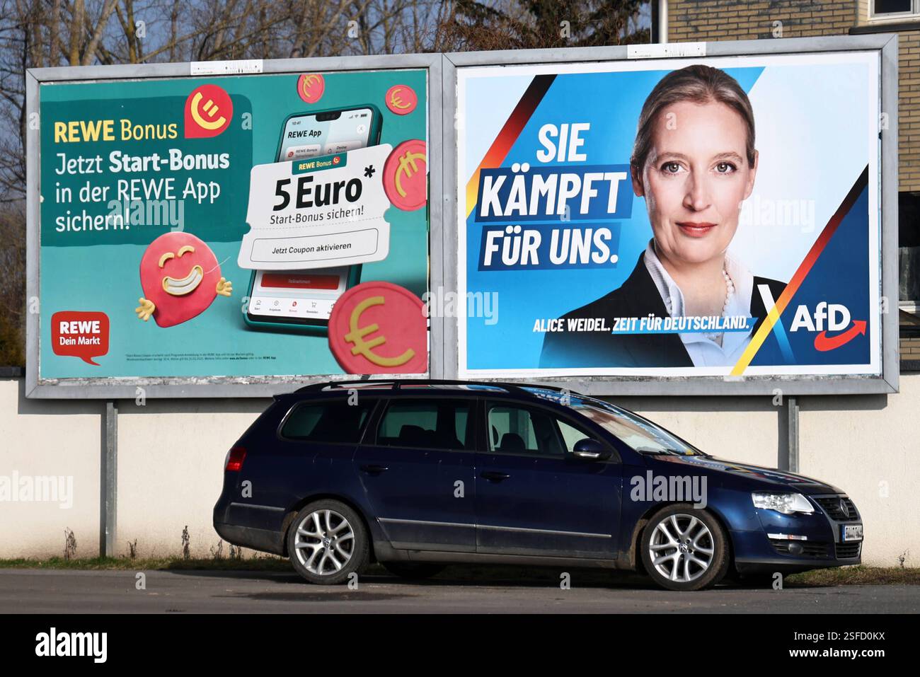 Wahlplakate 04.02.2025, Frohndorf, Wahlplakate zur Bundestagswahl ...