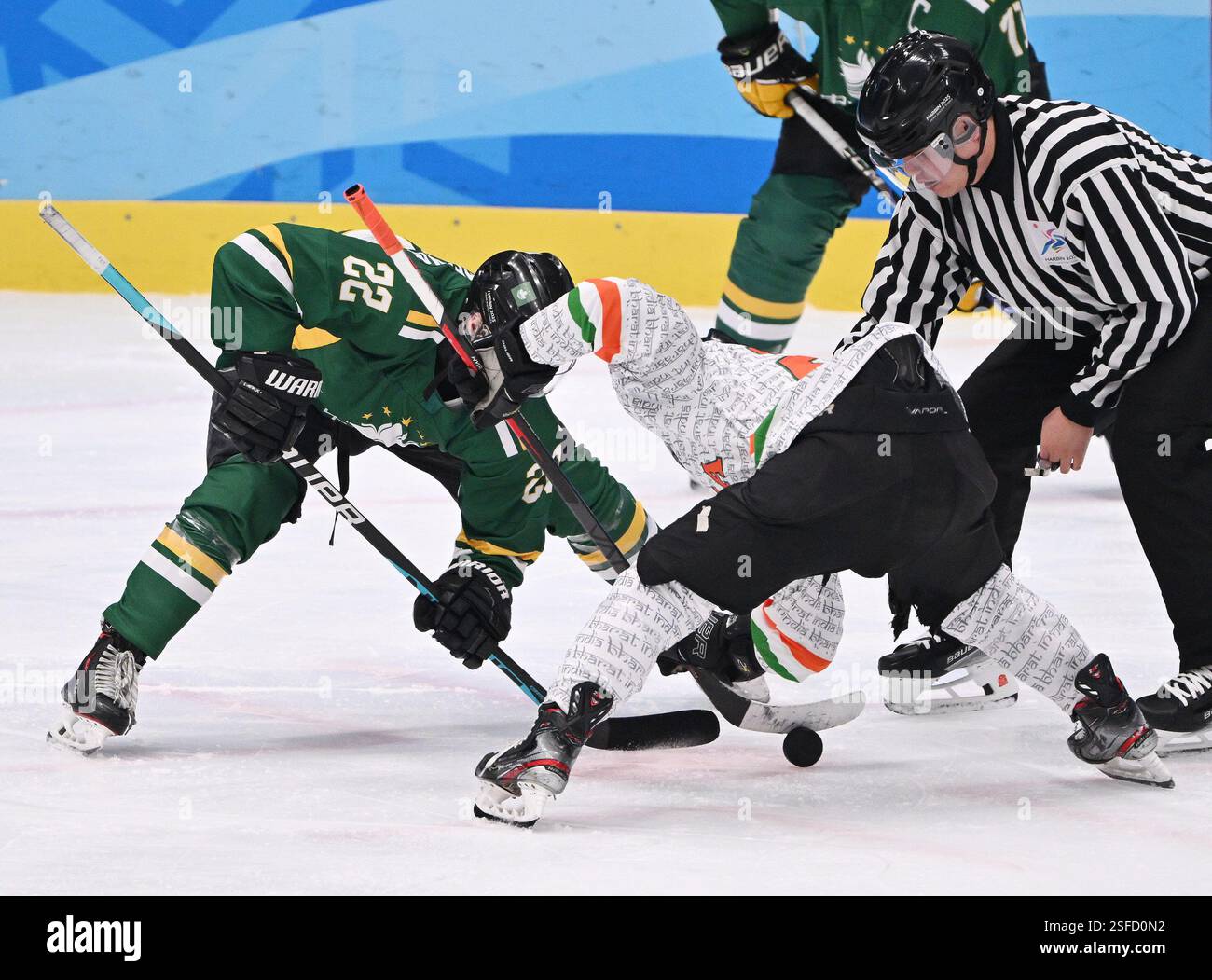 Harbin, China's Heilongjiang Province. 9th Feb, 2025. Cheng Chon ...