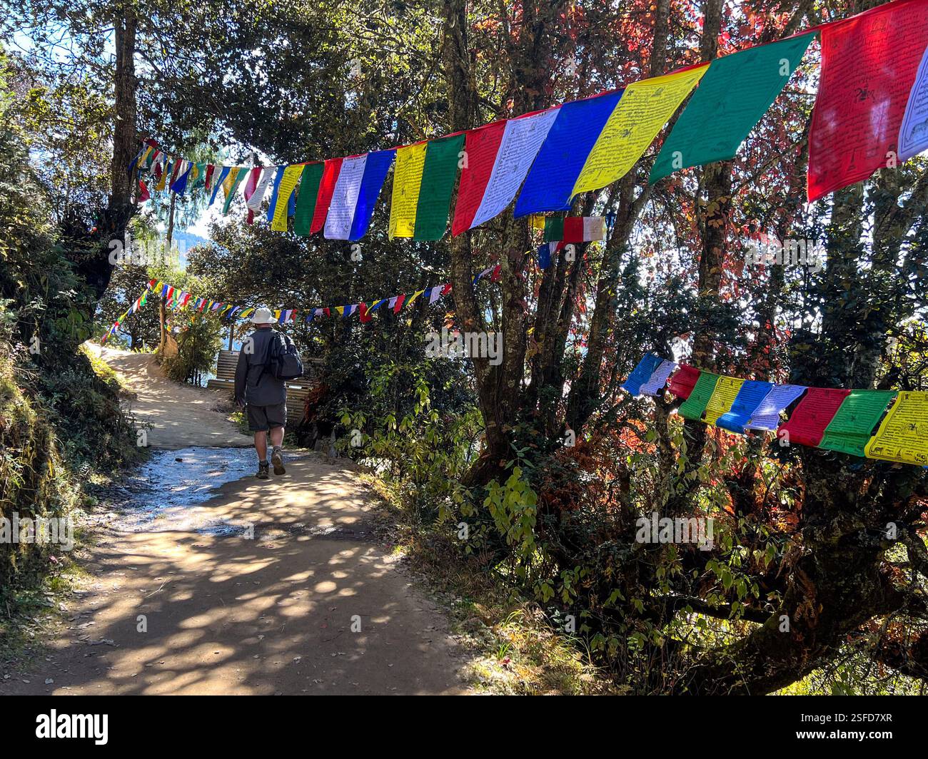 Man hiking past prayer flags to Tiger's Nest Monastery (Paro Taktsang ...