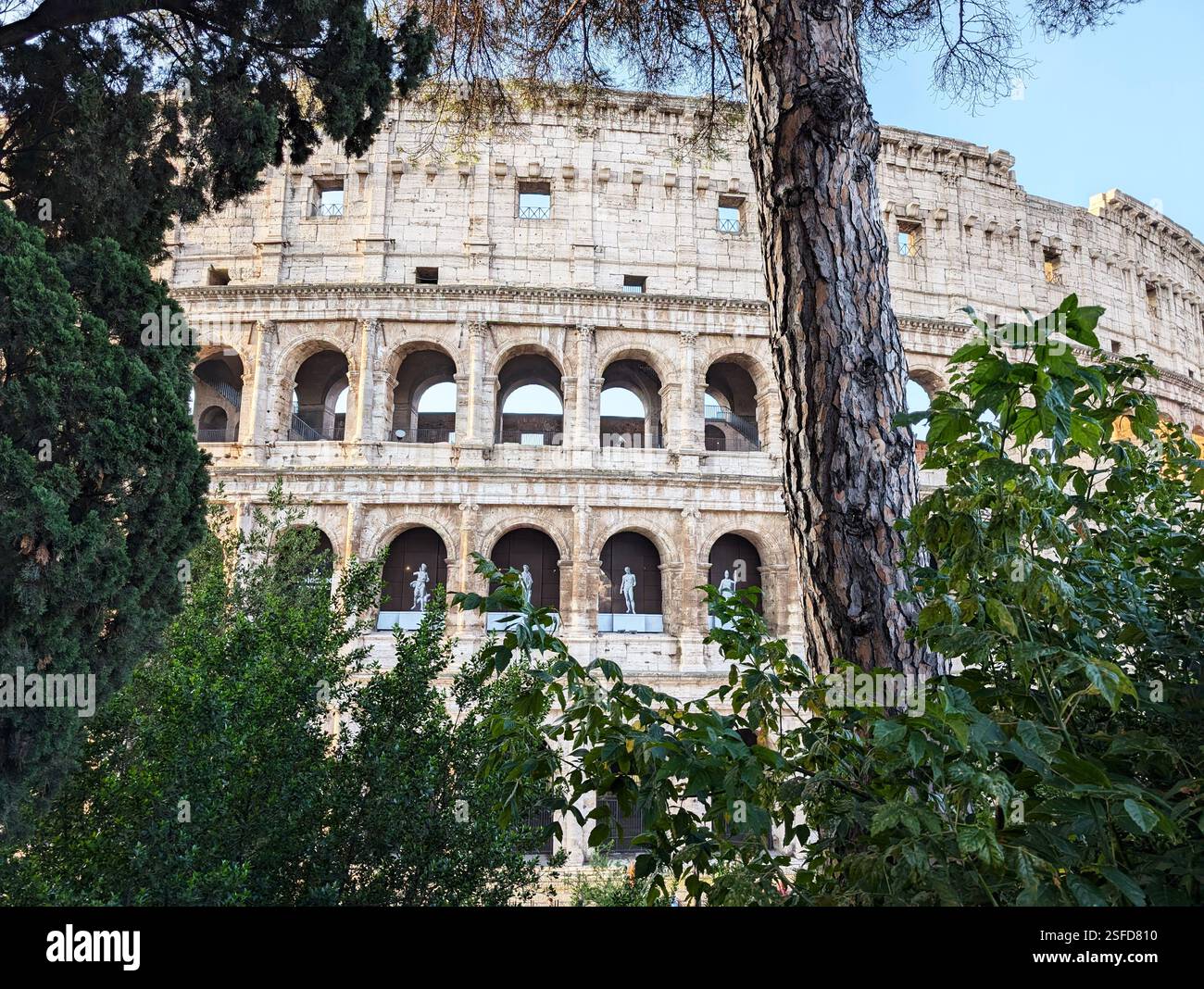 View through trees of the Colosseum, Rome, Lazio, Italy Stock Photo - Alamy