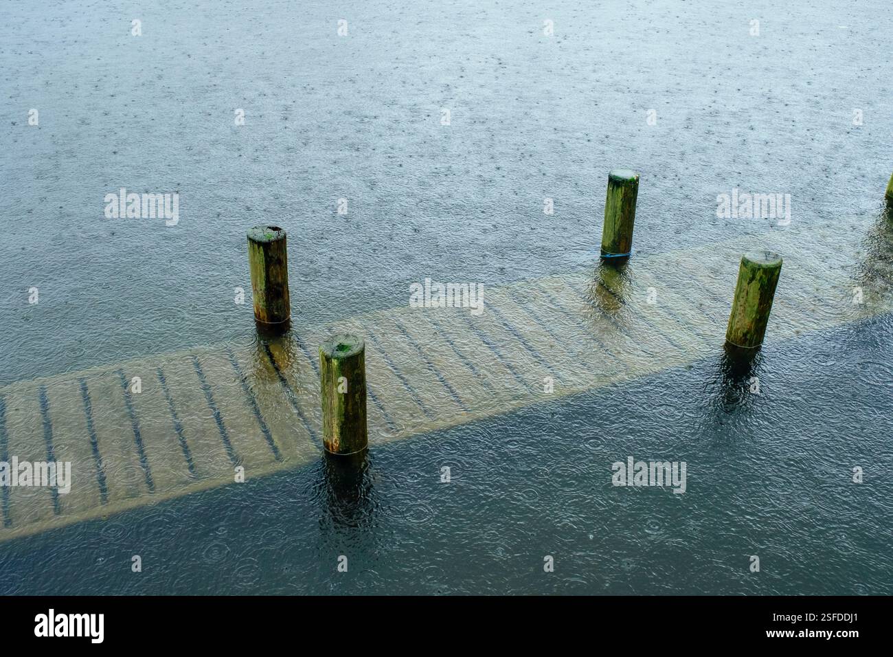 flooded wooden boat walkways at lake windermere, Lake District, cumbria ...