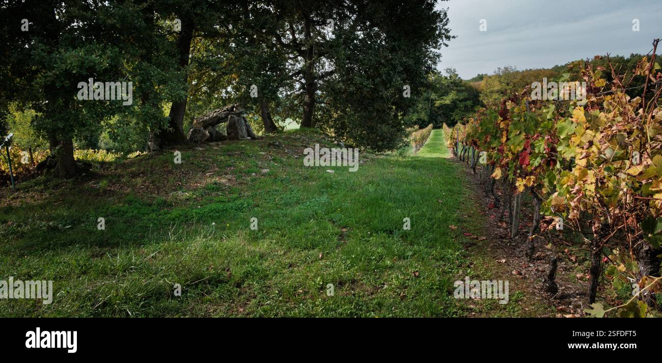 horizontal landscape plan of Dolmen de Curton, on its clod of earth ...