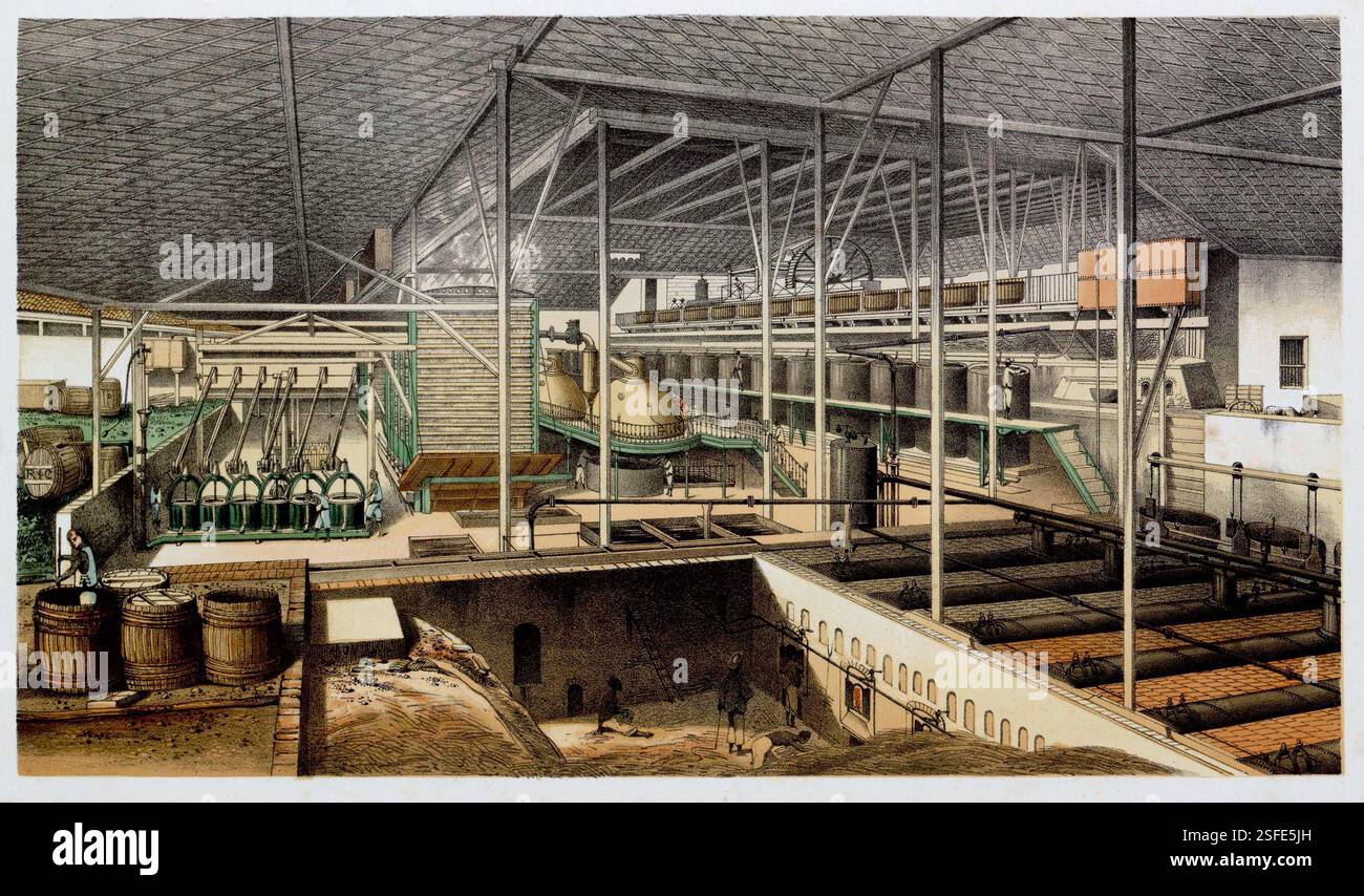 Sugar boiling room of the Armonia Sugar mill (Ingenio Santa Rosa ...