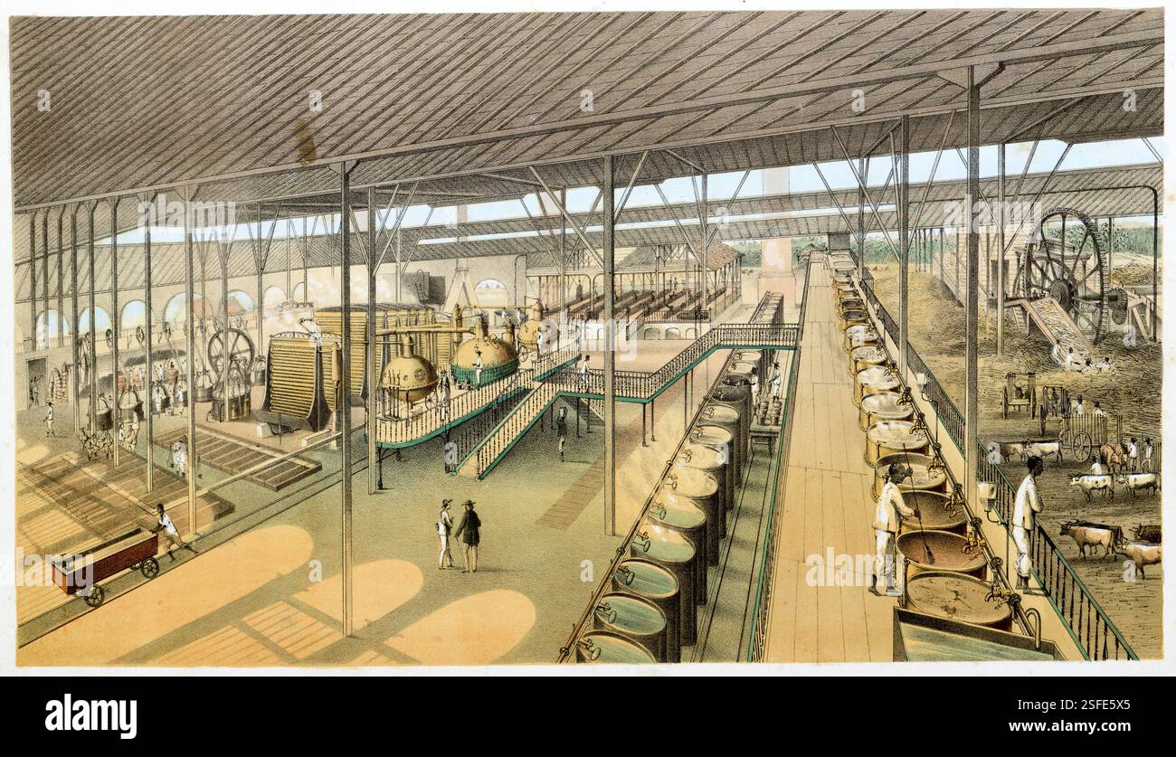 Sugar boiling room of the Armonia Sugar mill (Ingenio Flor de Cuba ...