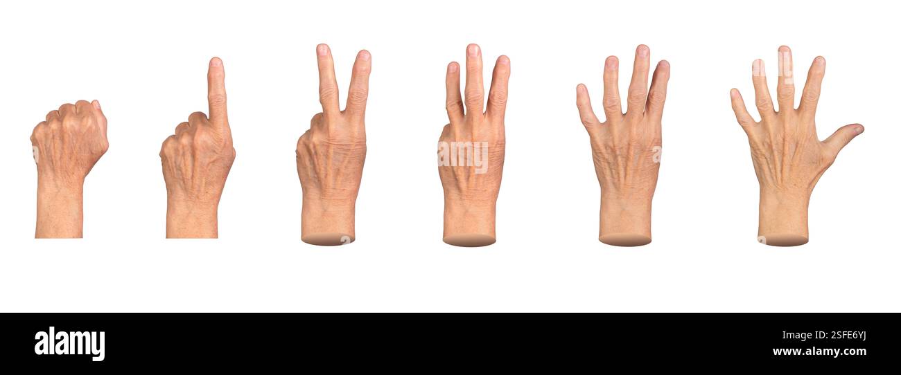 Senior female hand showing counting gestures. Wrinkled fingers displaying numbers from zero to ...